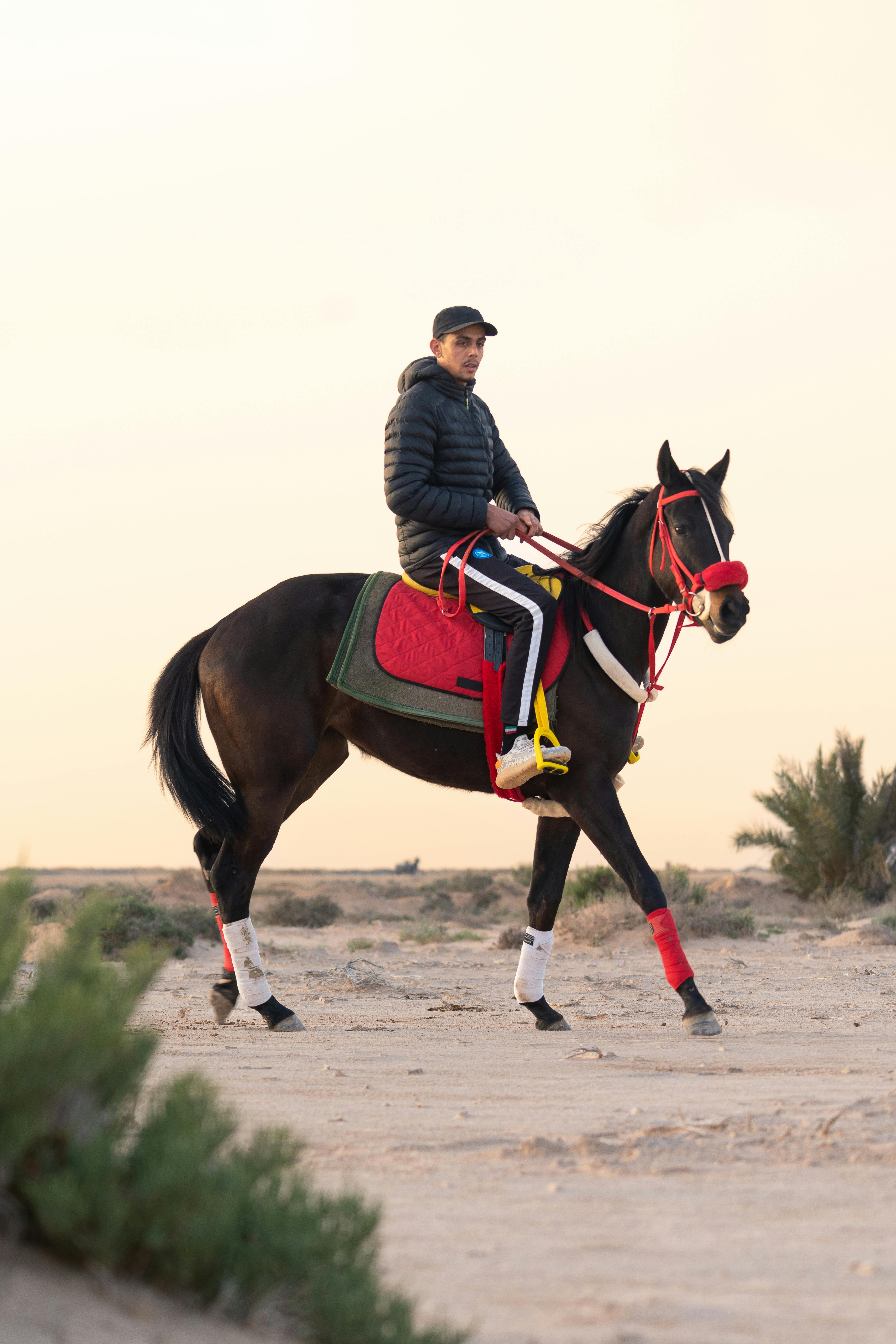 Arabian Horse Rider in Tunisian Desert · Free Stock Photo