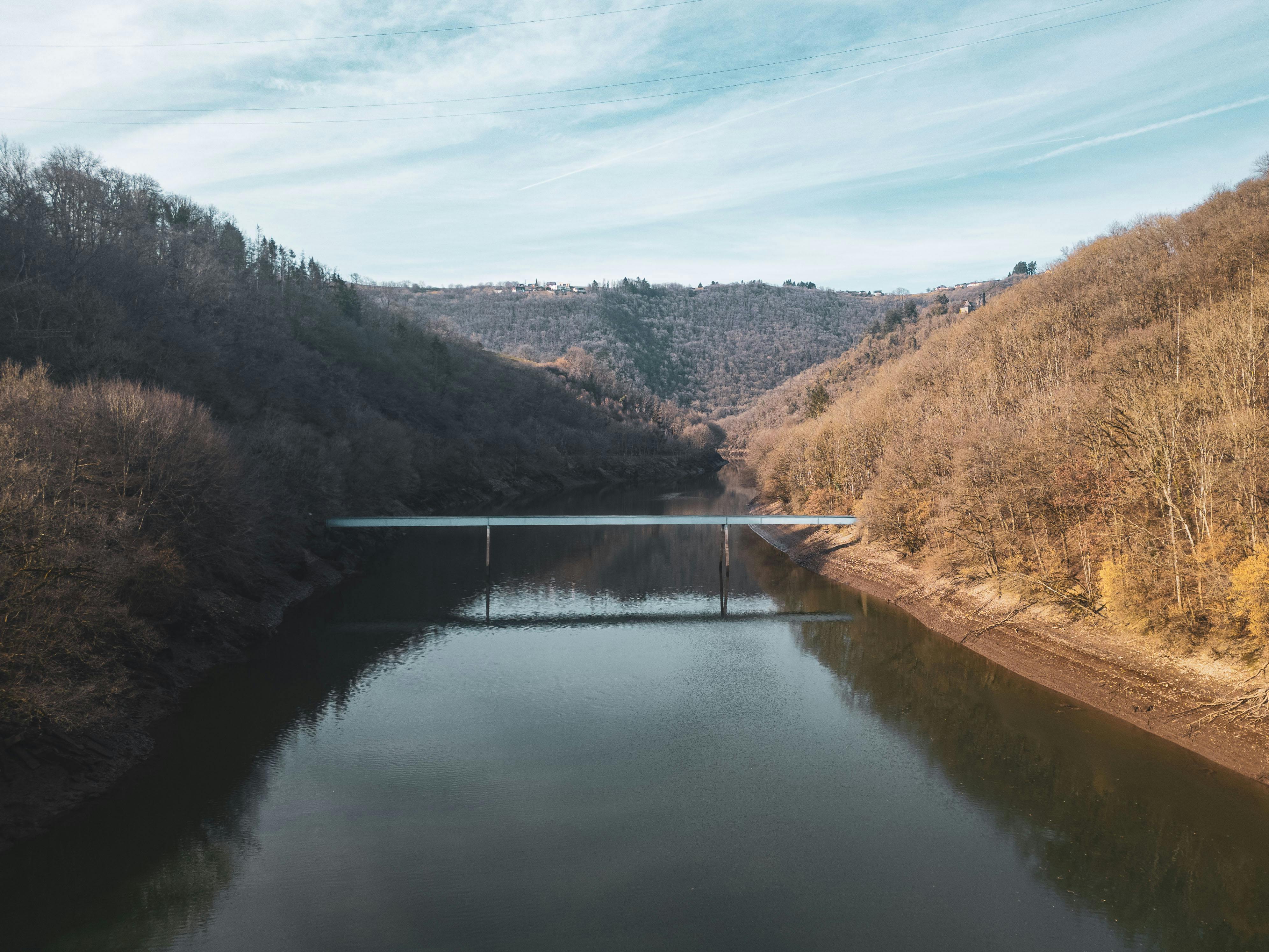 Stefan de Vries - 사진