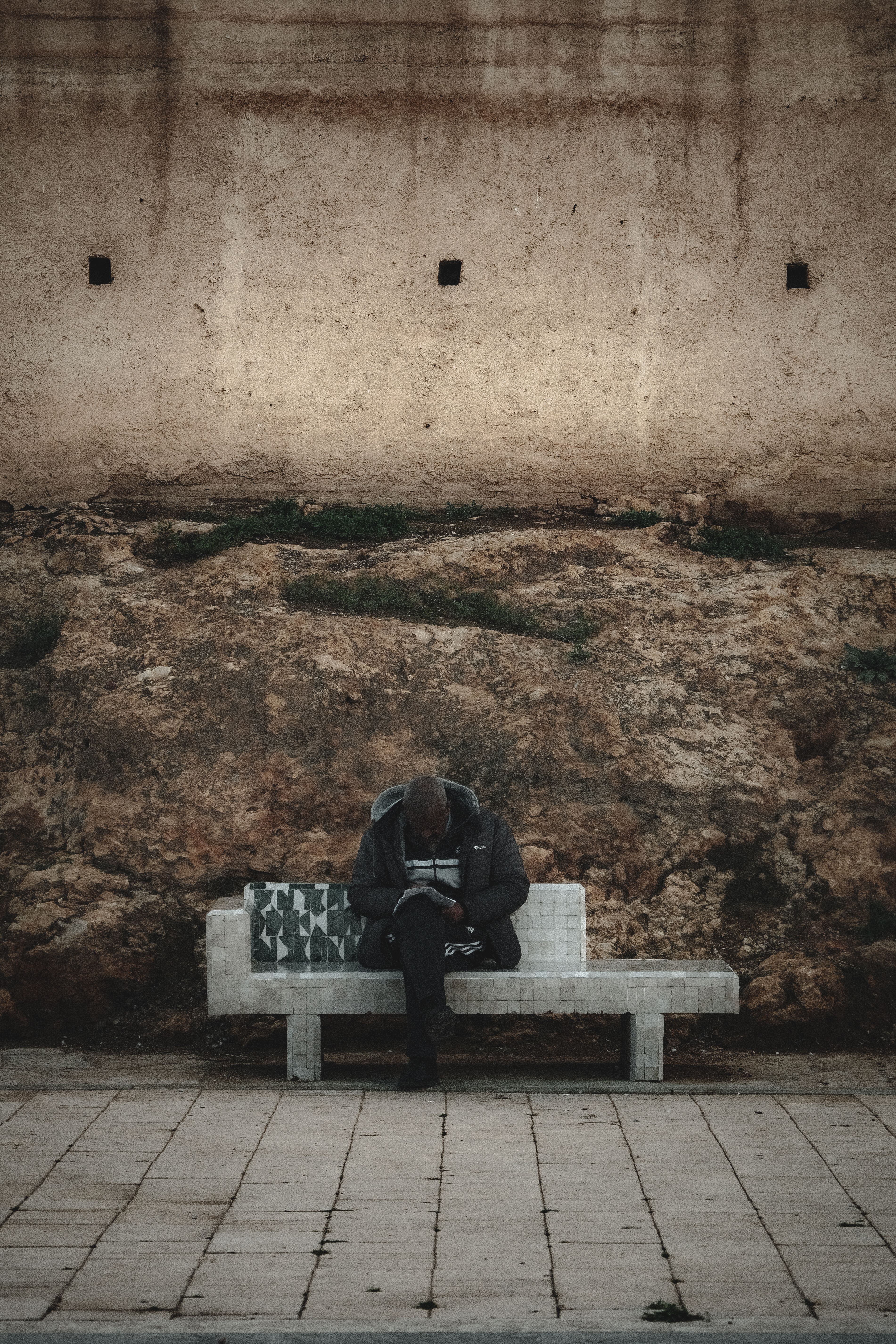 Solitary Figure Reading on Outdoor Bench · Free Stock Photo