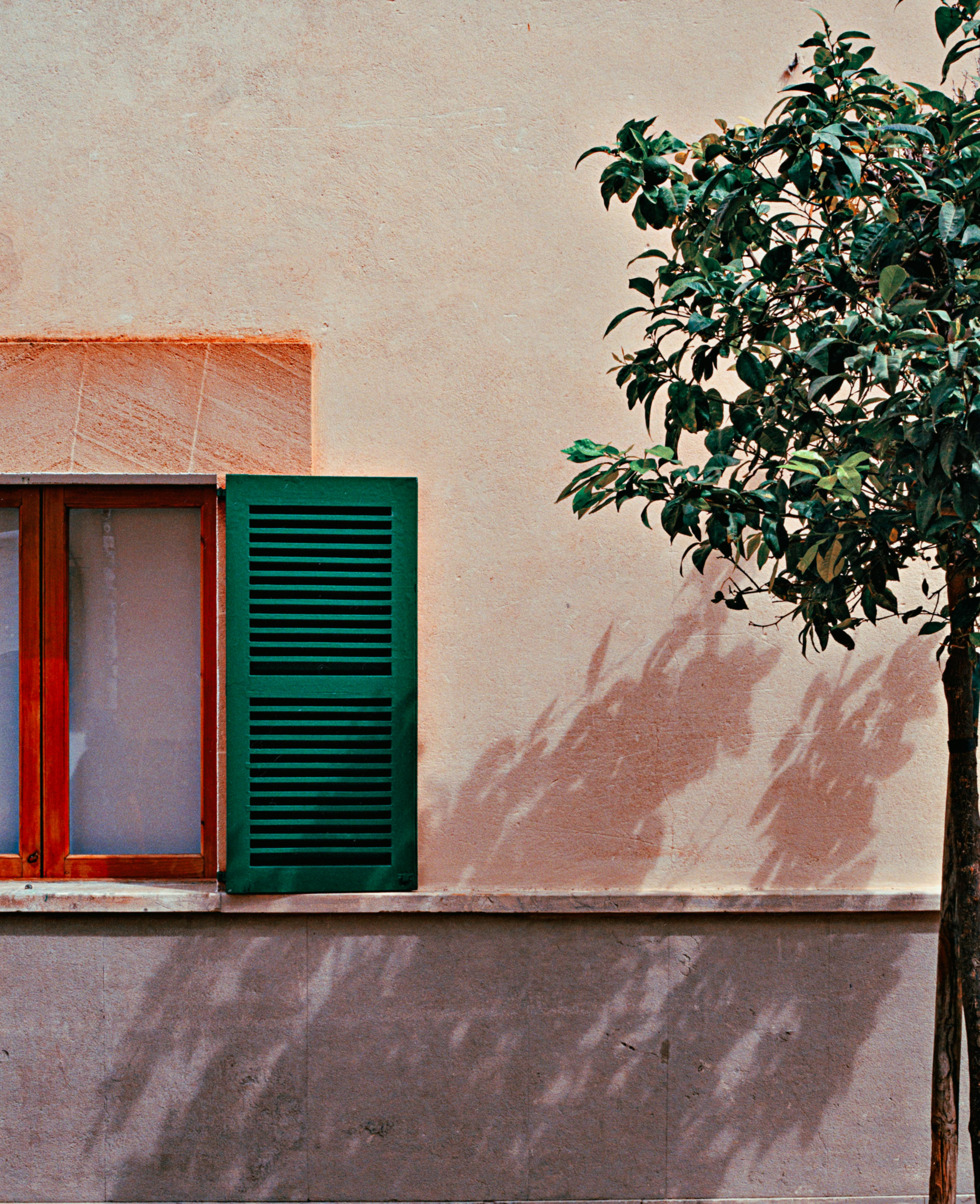 Shutter Hifi Photos, Download The BEST Free Shutter Hifi Stock Photos ...