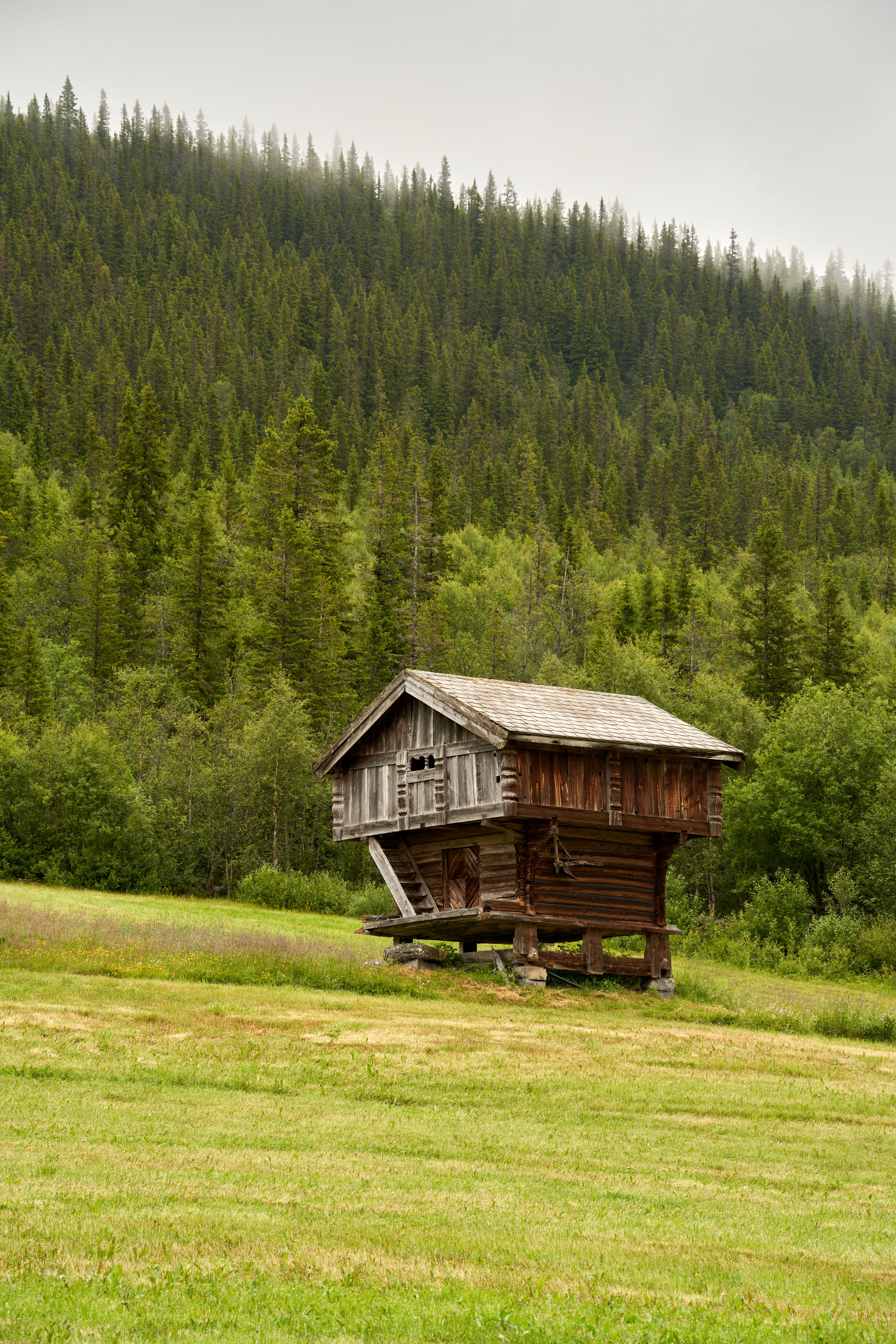 Traditional Norwegian Stabbur in Lush Countryside · Free Stock Photo