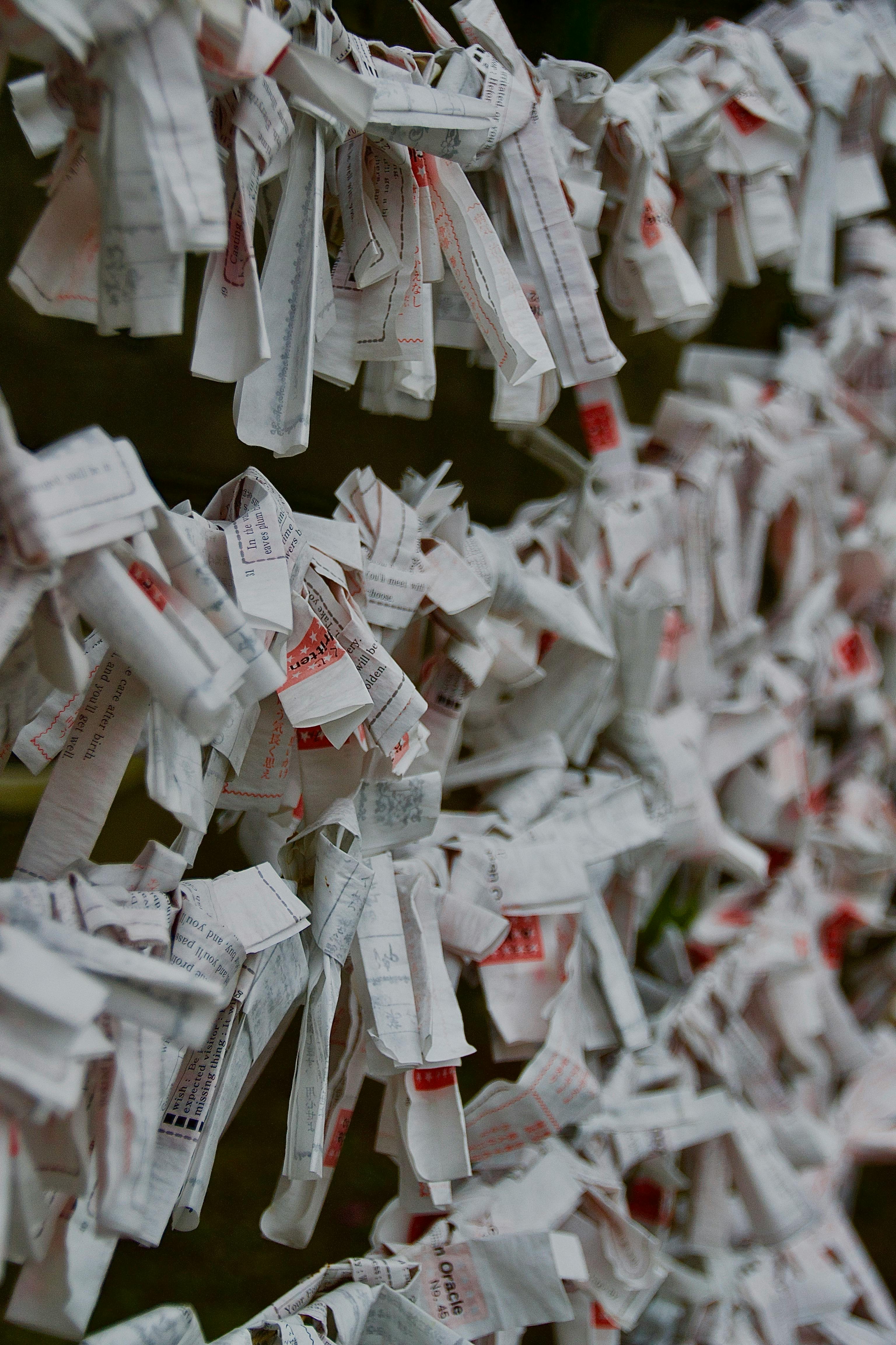 Custom Background Photos, Download The BEST Free Custom Background ...