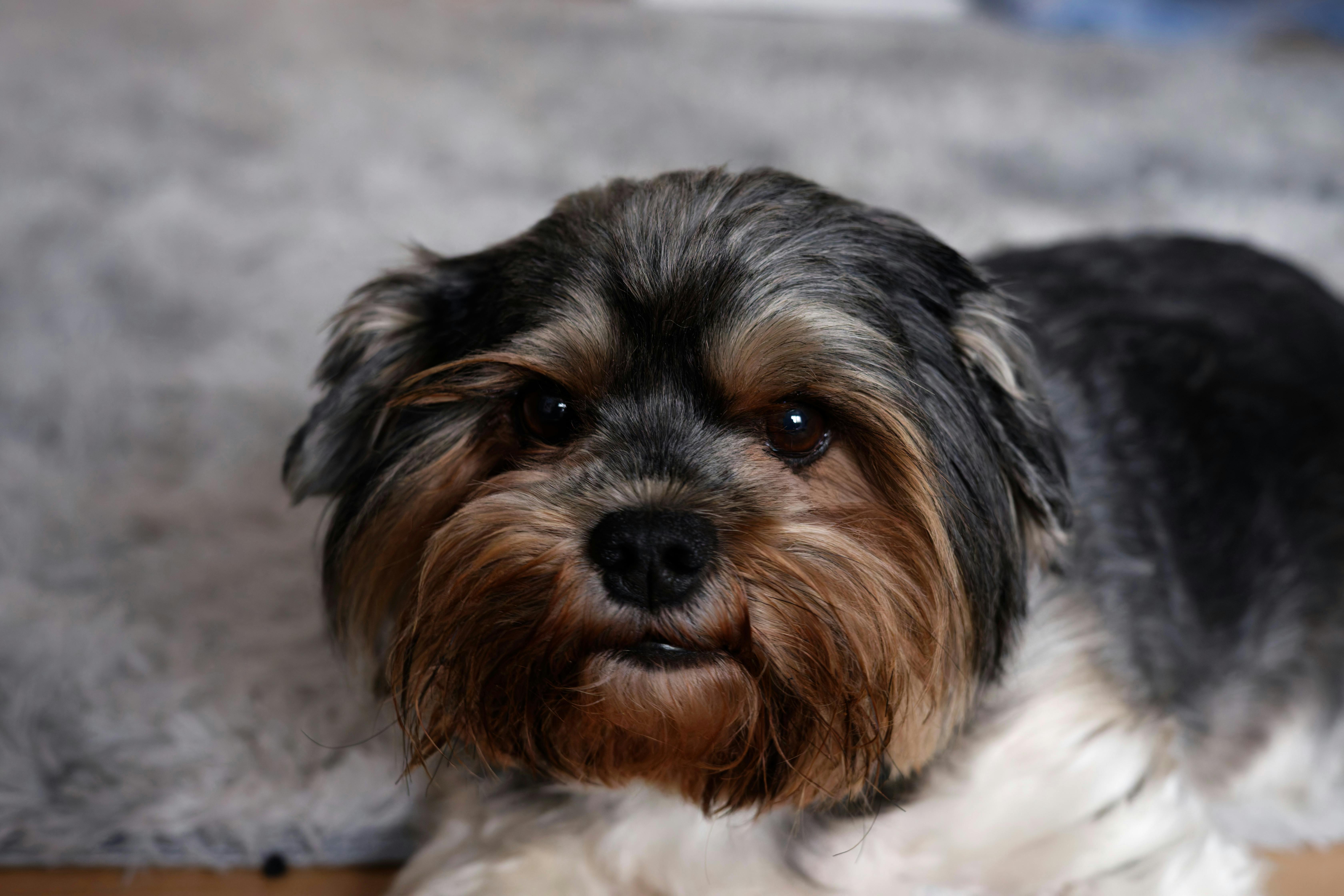 Autism Ear Closing Photos, Download The BEST Free Autism Ear Closing ...