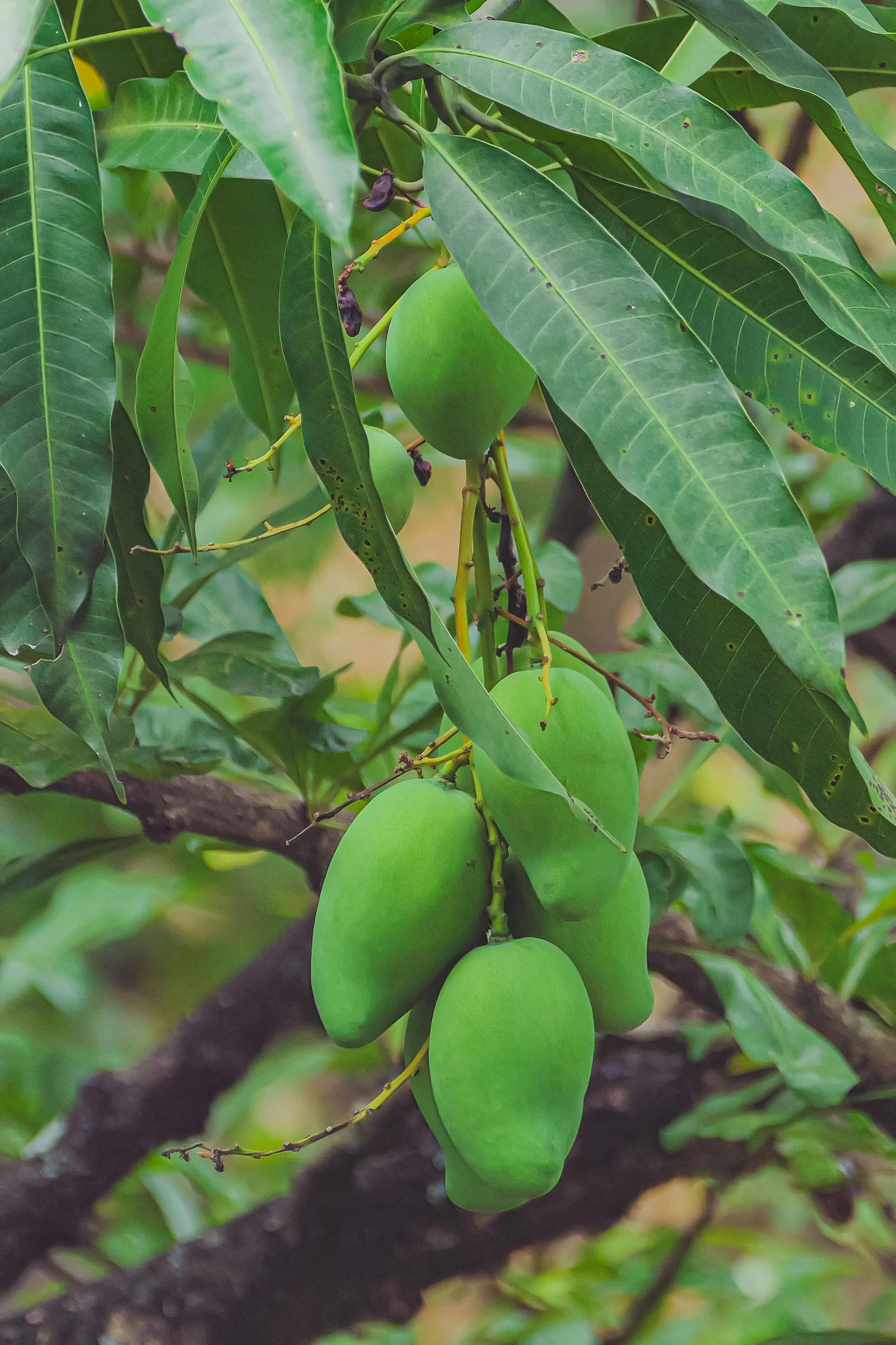 Foto de stock gratuita sobre @al aire libre, 110 pana p1106964 mp4 ...