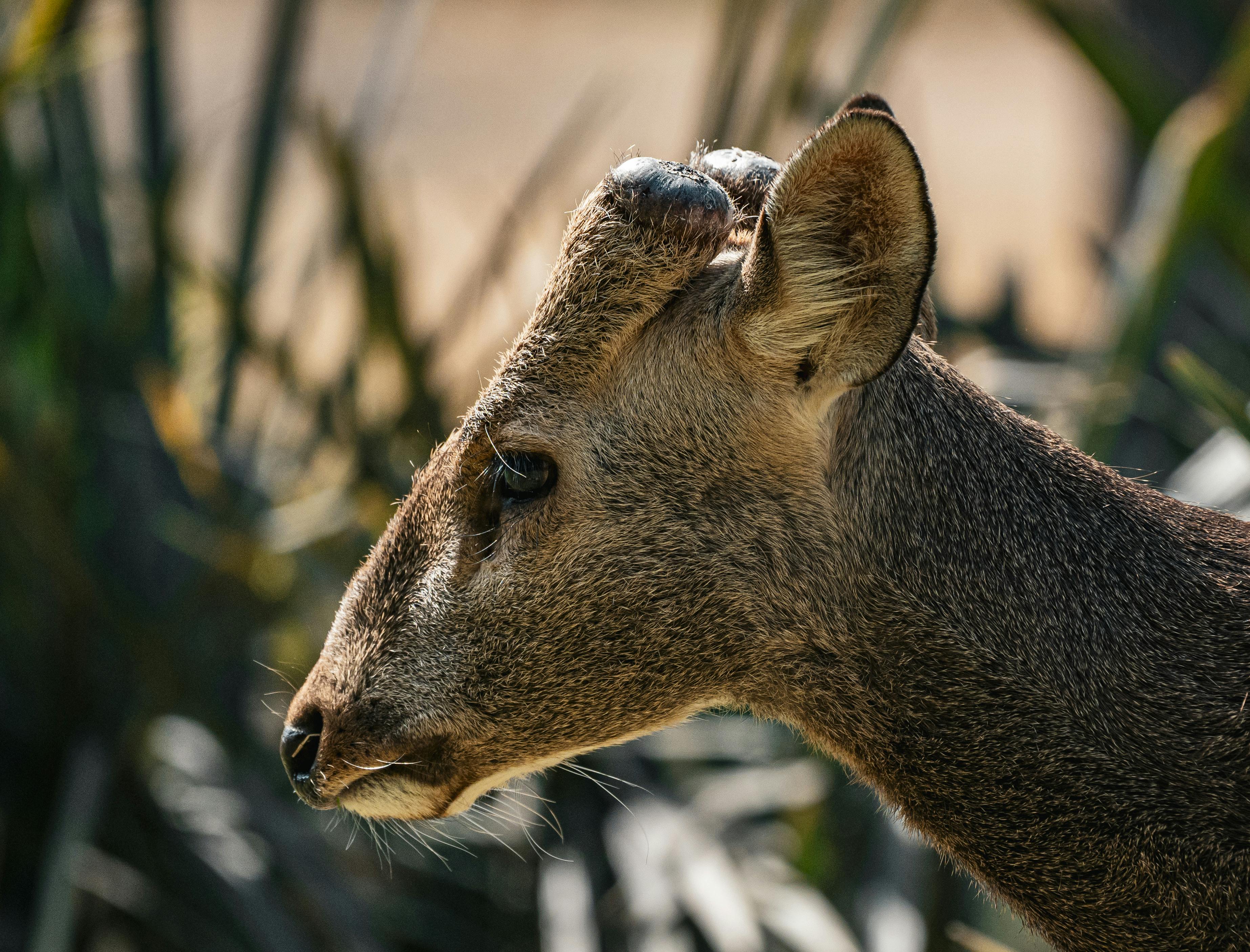 Krishna Wallpaper Photos, Download The BEST Free Krishna Wallpaper ...