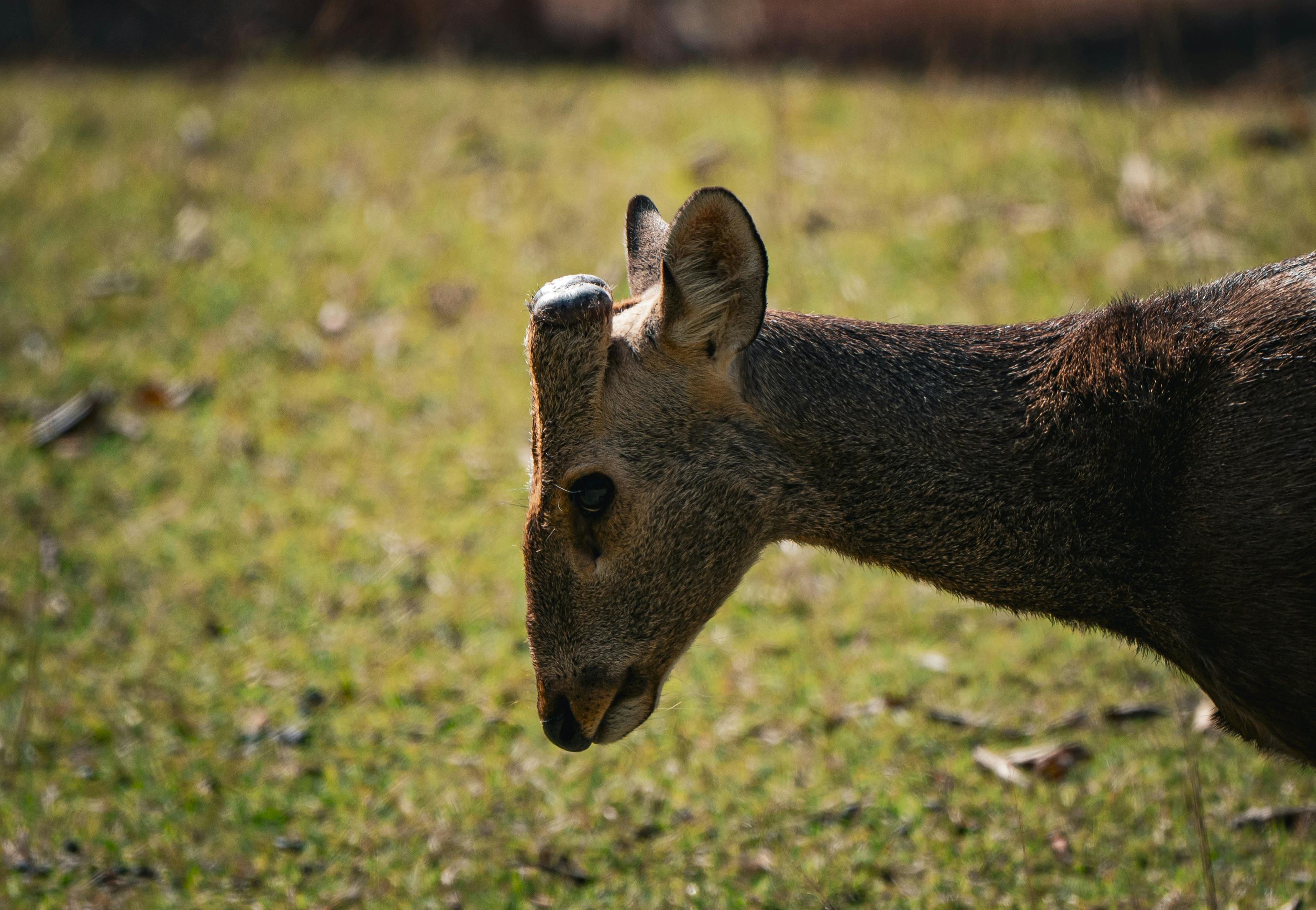 Download+Bokep+Missav Photos, Download The BEST Free Download+Bokep+Missav Stock Photos & HD Images