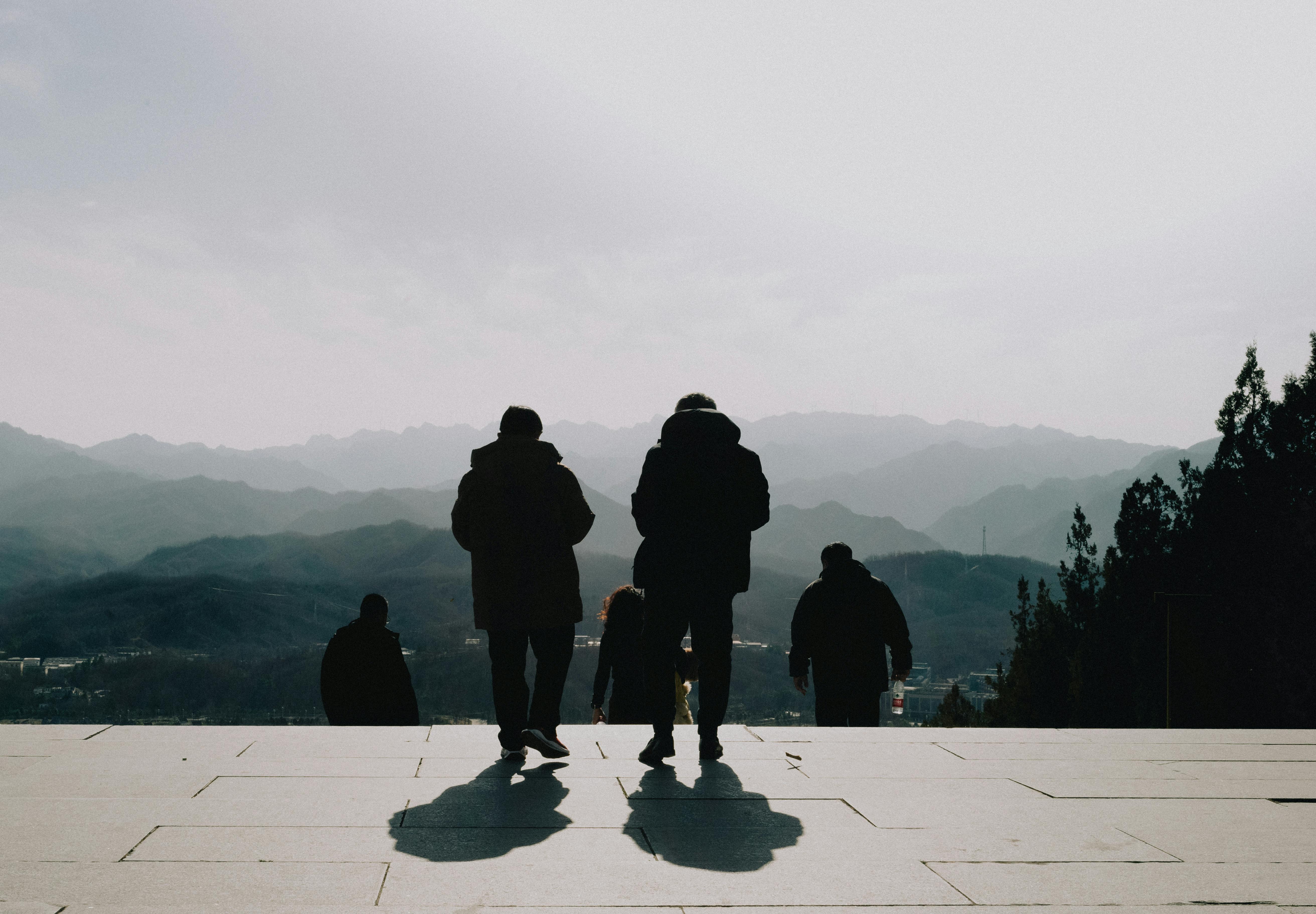 Backlit Man Photos, Download The BEST Free Backlit Man Stock Photos ...