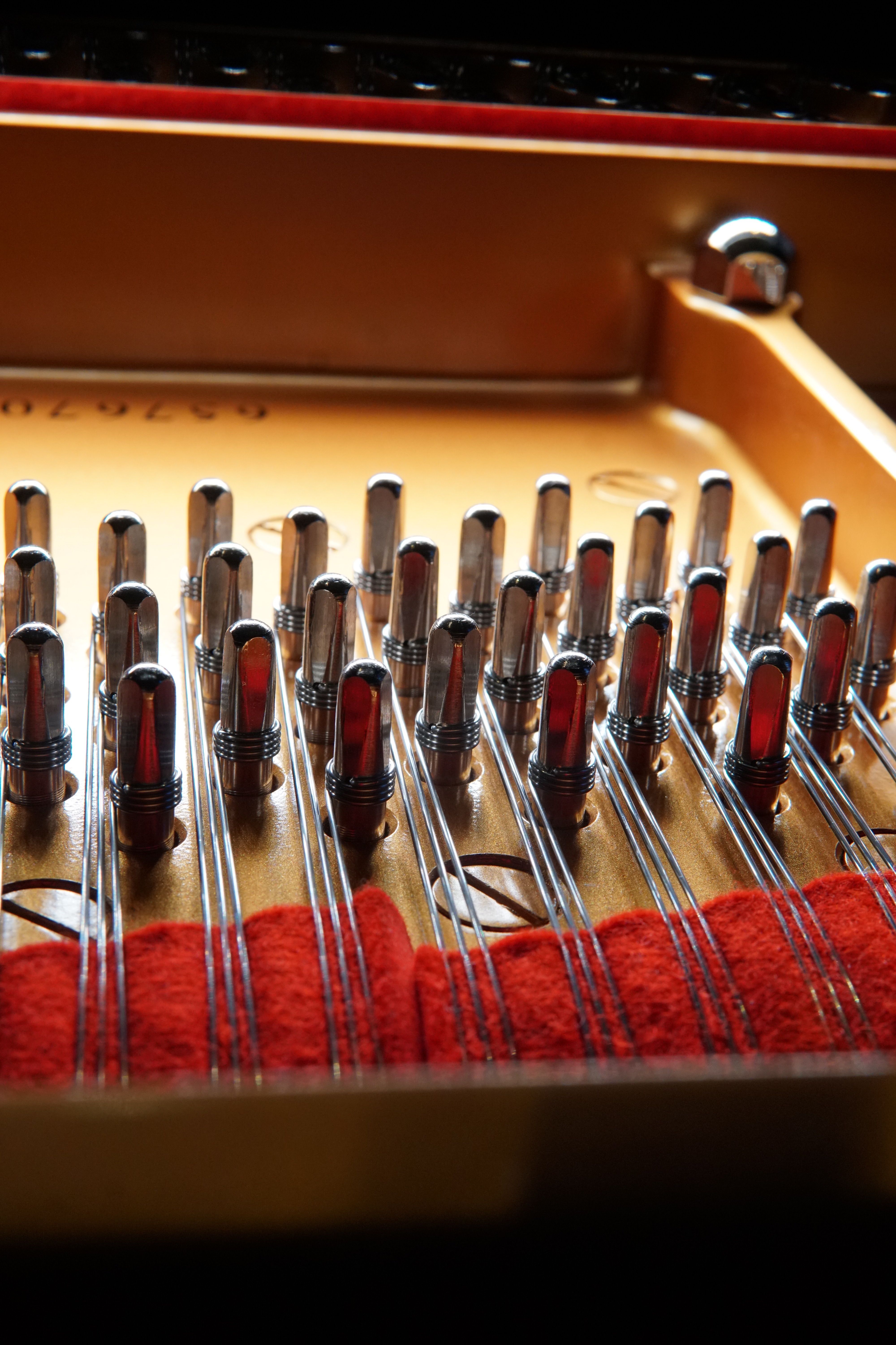 Close-Up of Piano Strings and Tuning Pins · Free Stock Photo