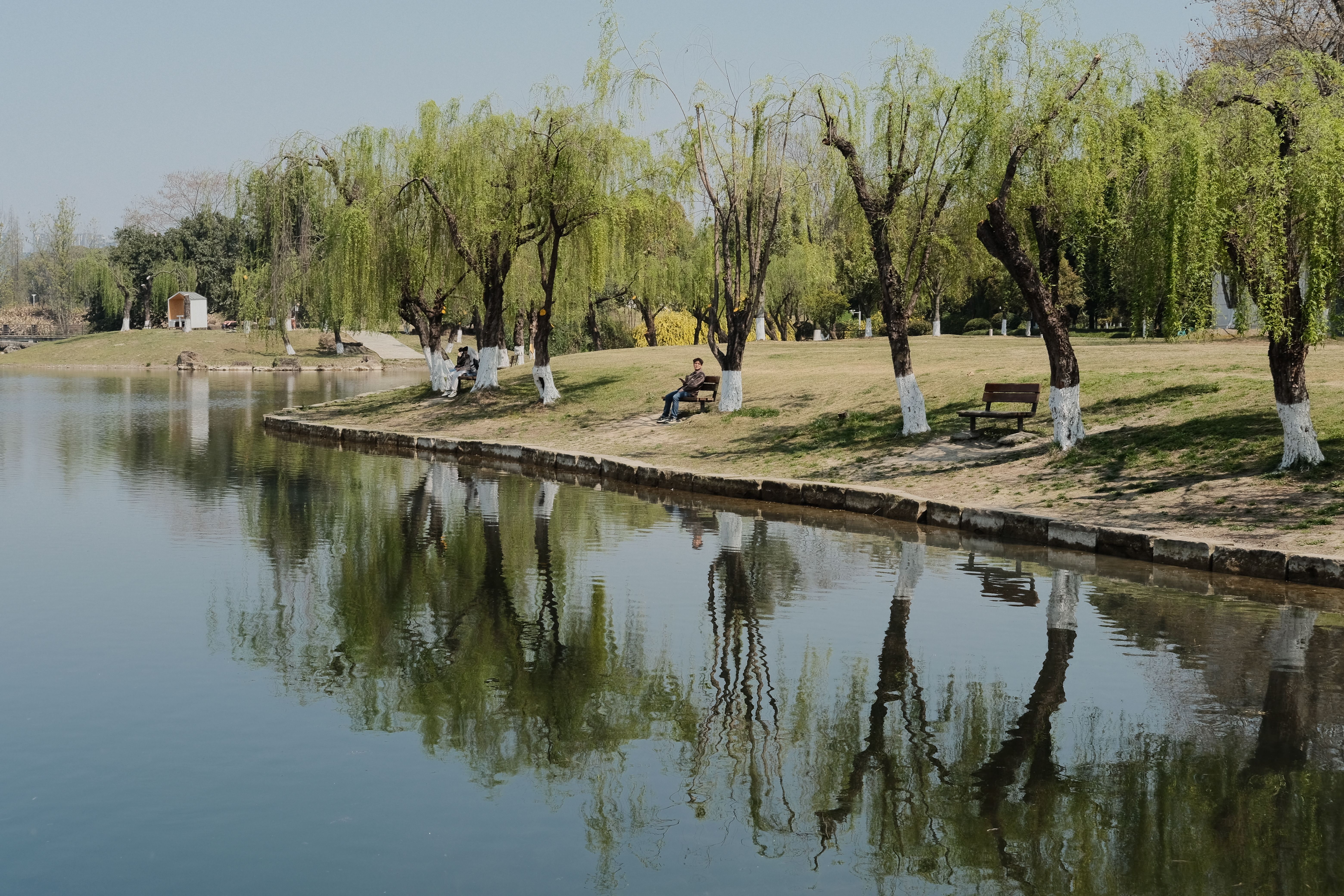 Images Pond Bench Photos, Download The BEST Free Images Pond Bench ...