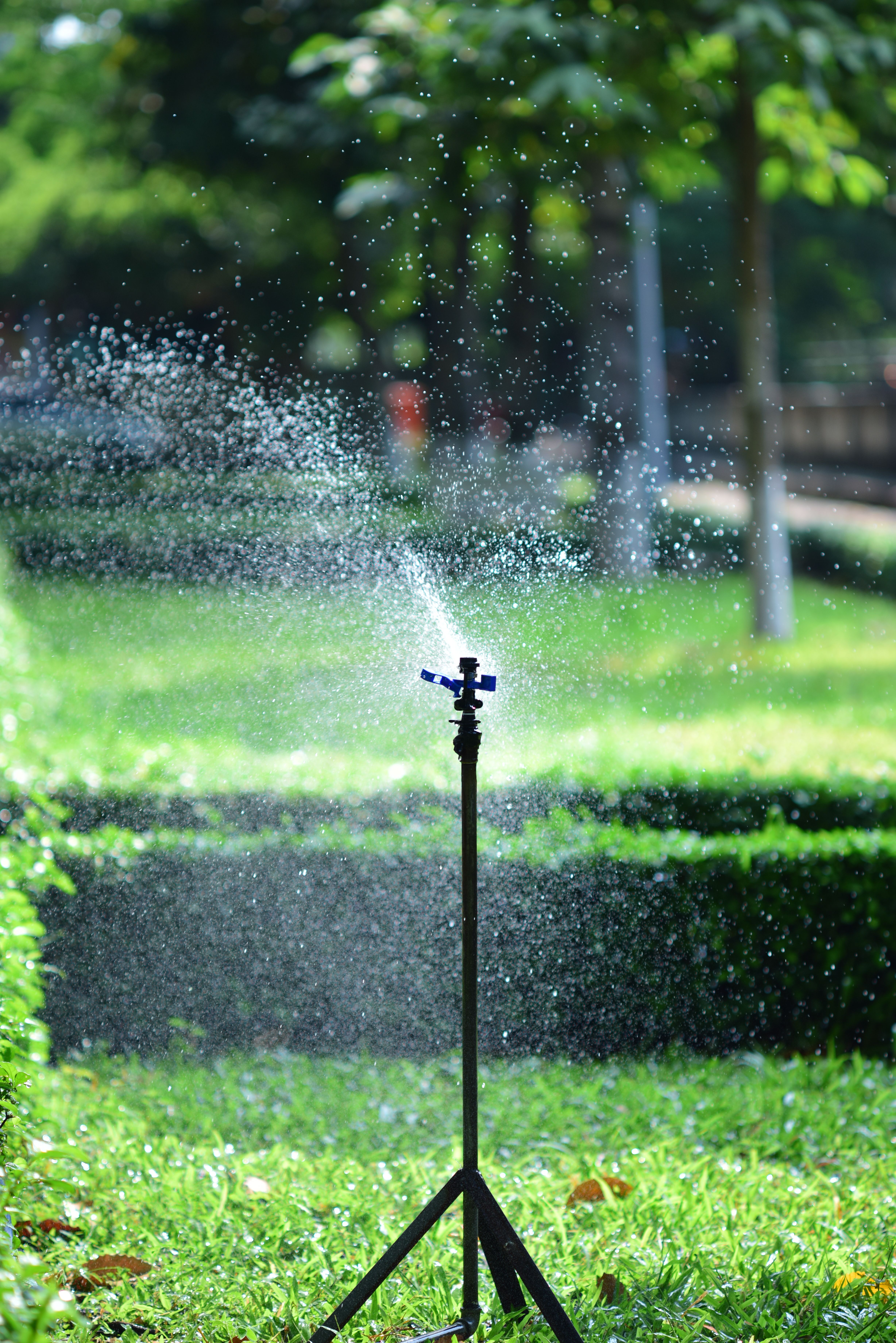 Close up of a Sprinkler · Free Stock Photo
