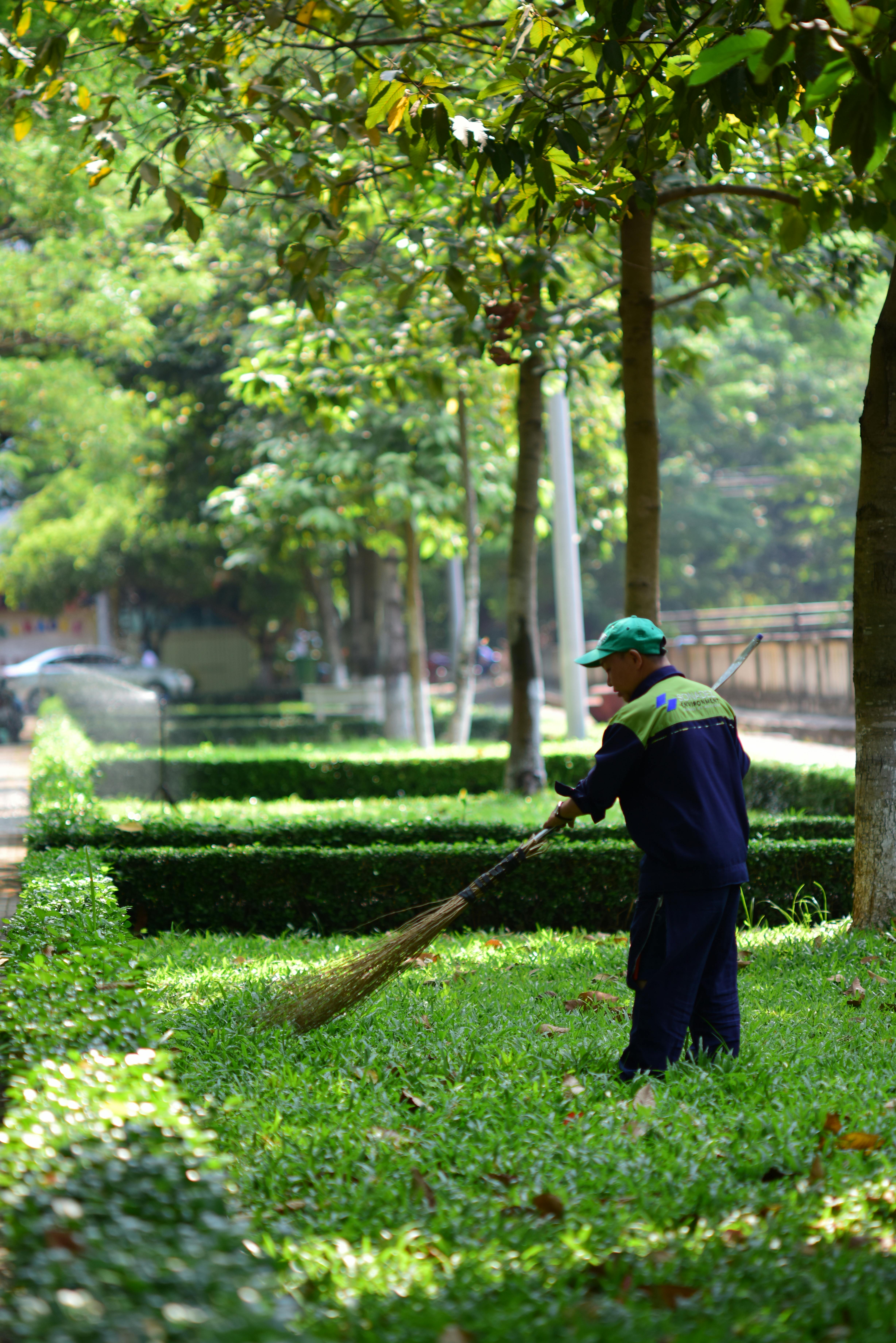 Gardener Sweeping Green Park Path Among Trees · Free Stock Photo