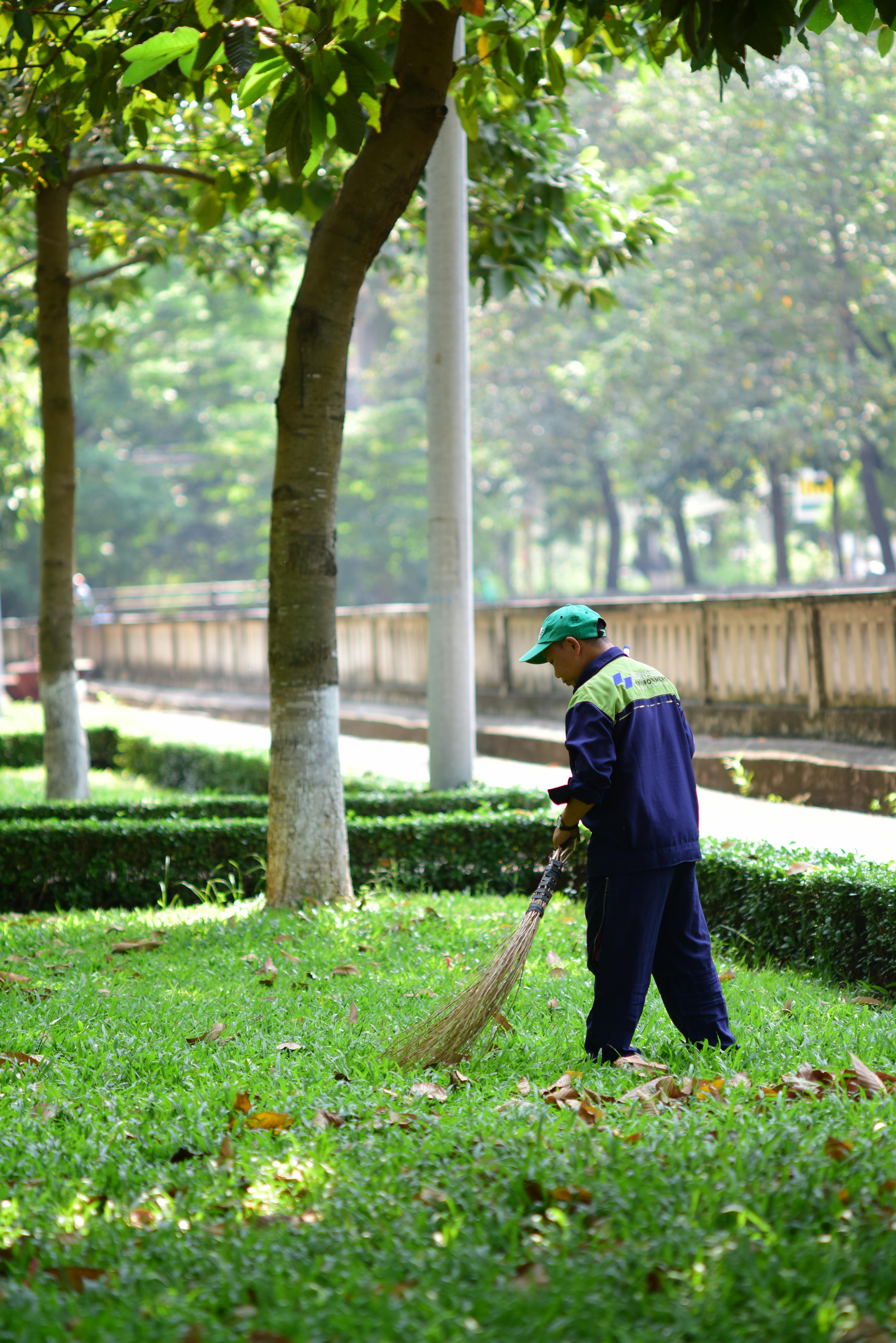 Park Maintenance Worker Sweeping Grass Among Trees · Free Stock Photo