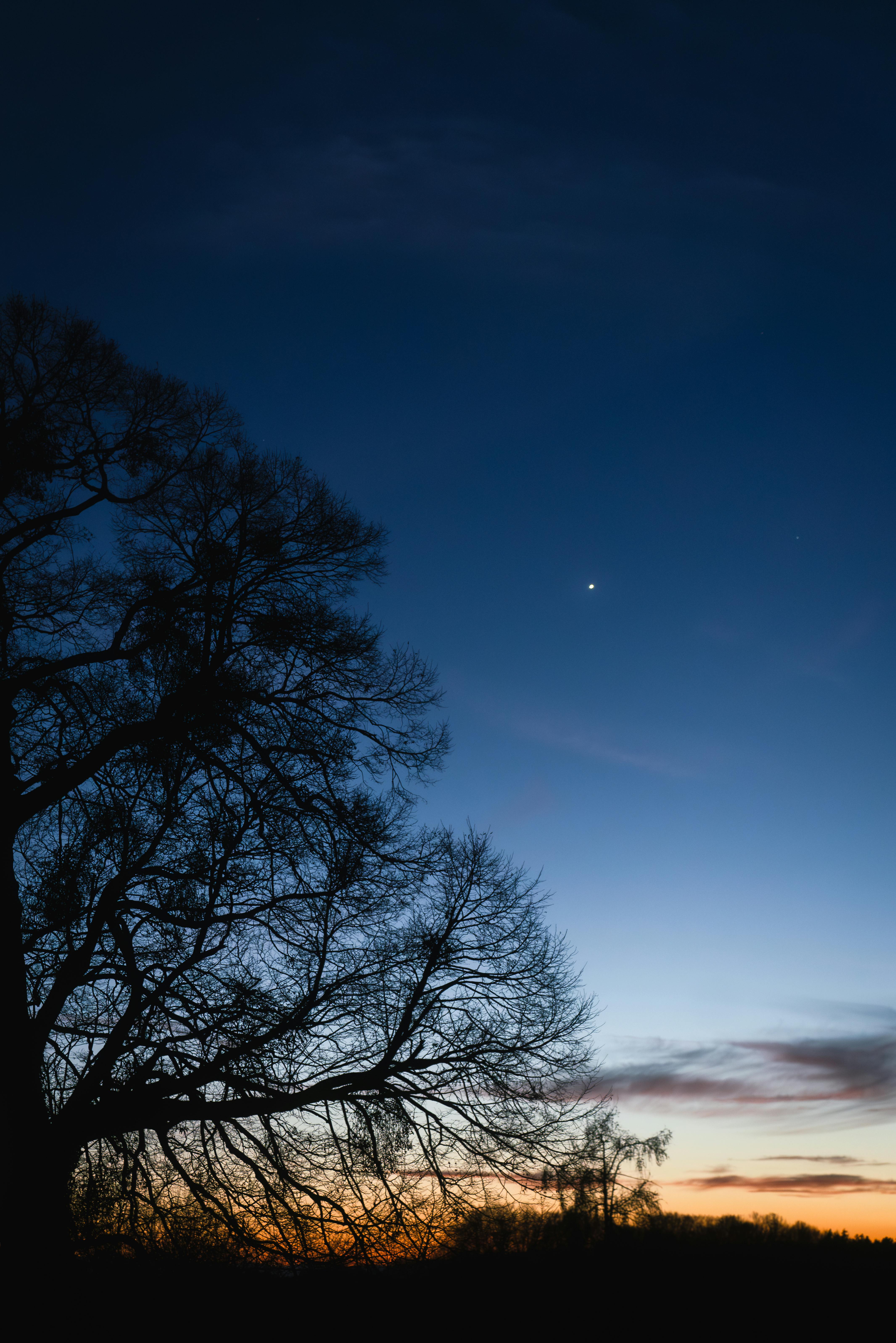 Unsplash Photos, Download The BEST Free Unsplash Stock Photos & HD Images