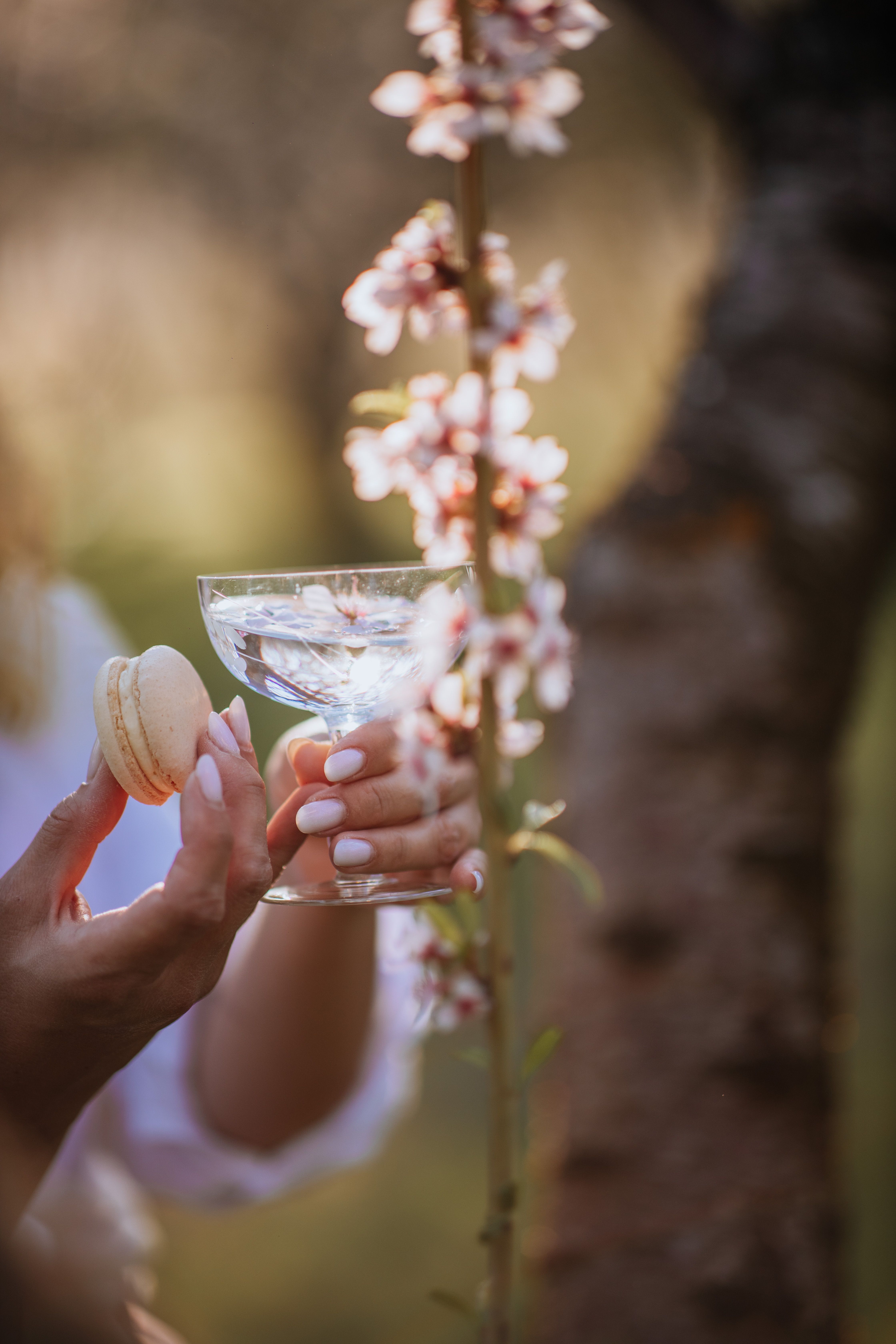 Elegant Spring Scene with Champagne and Macaron · Free Stock Photo