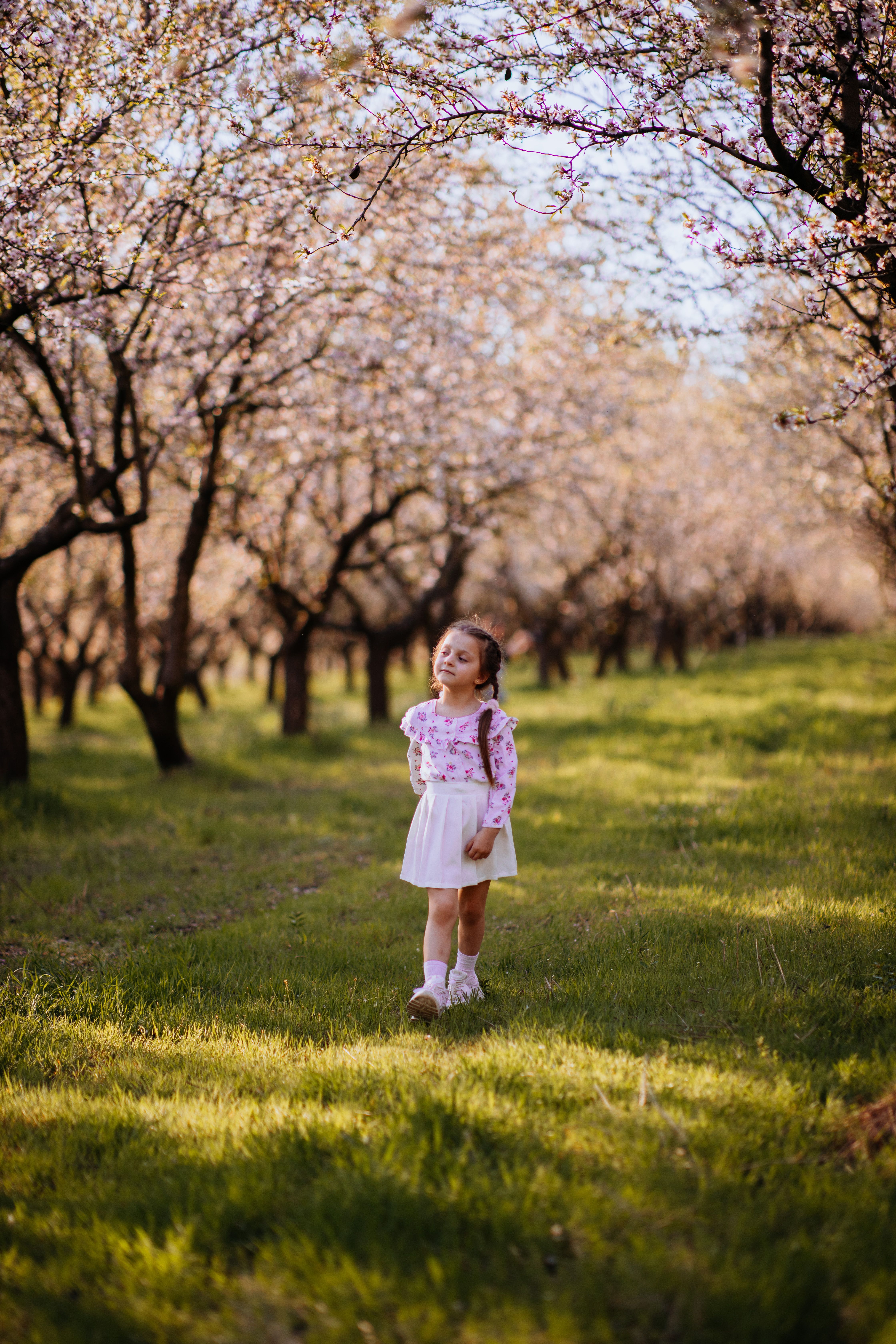 Young Girl in Blooming Spring Orchard · Free Stock Photo