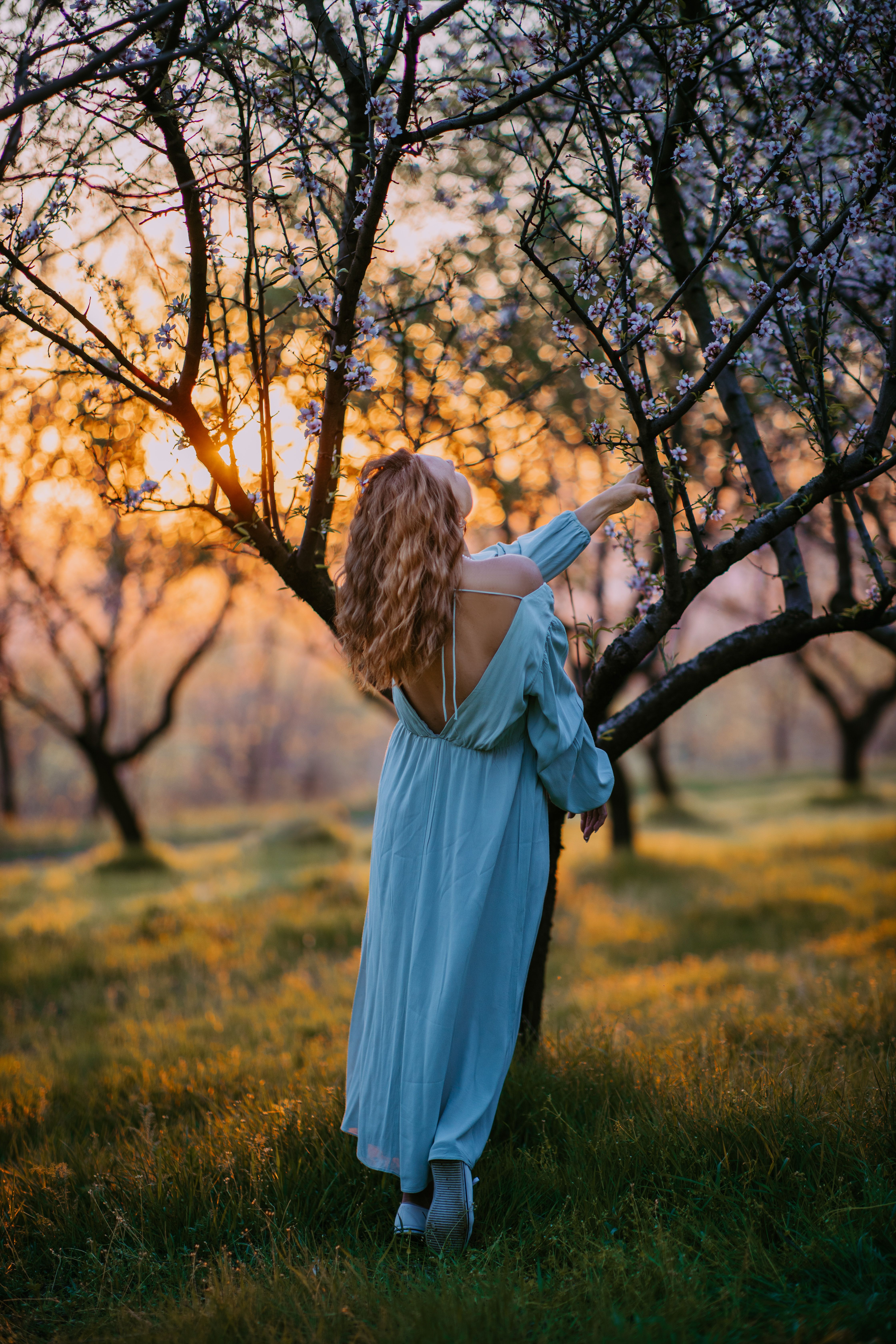 Springtime Serenity in Botanic Garden Setting · Free Stock Photo
