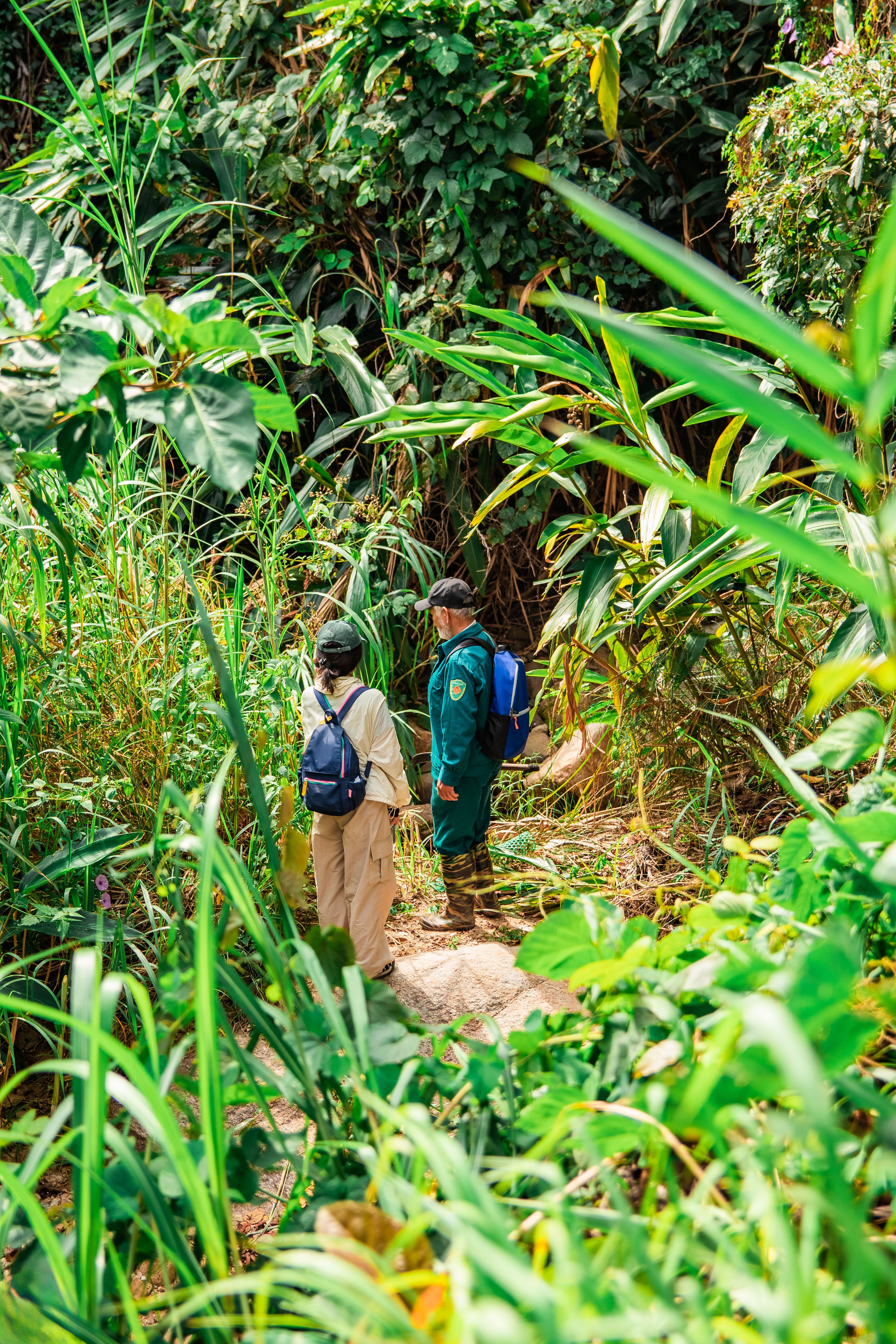Hikers Exploring Lush Greenery in Ninh Thuận Vietnam · Free Stock Photo