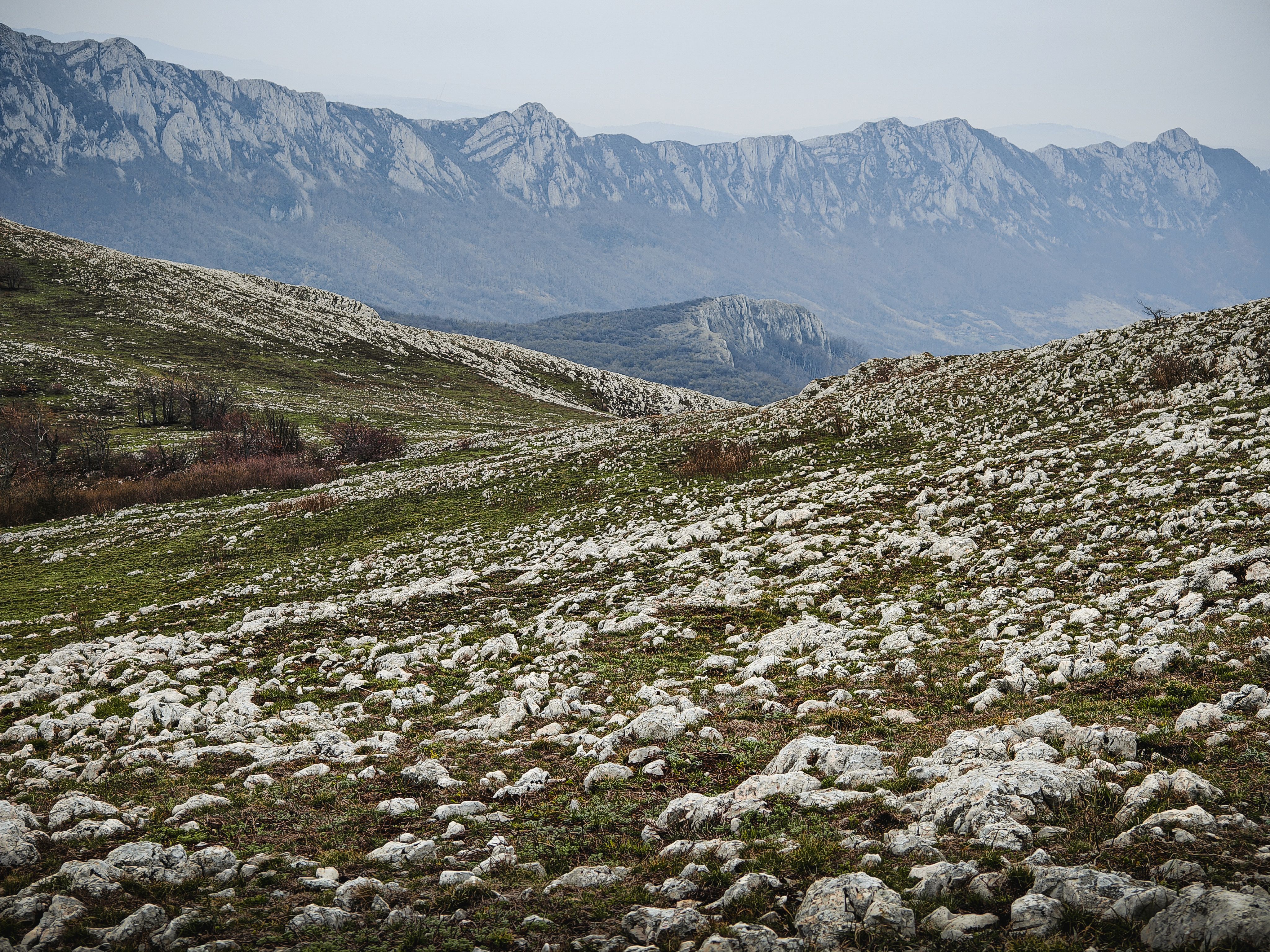 Scenic Serbian Mountain Landscape View · Free Stock Photo