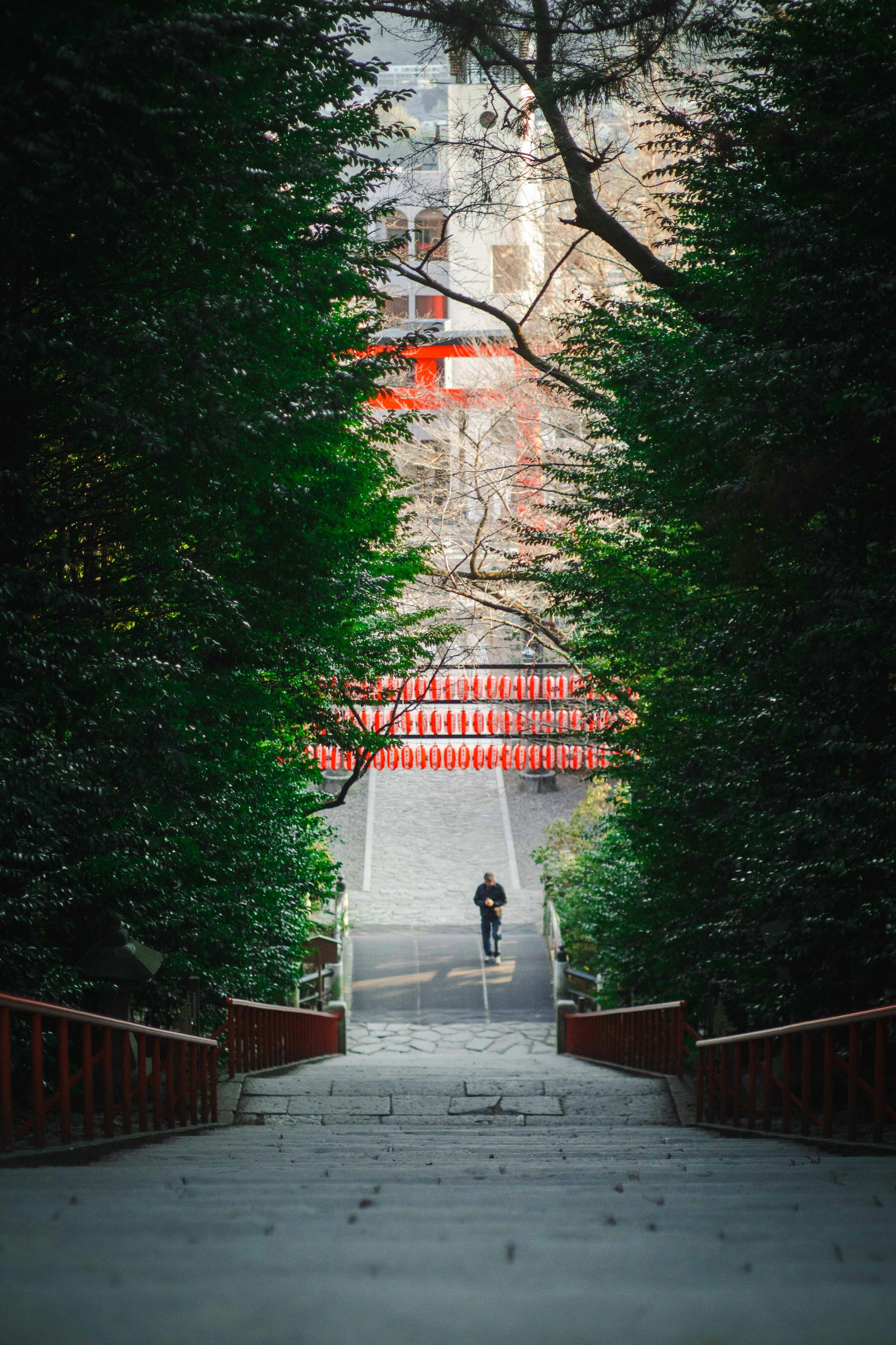 Japanese Temple Pathway with Vibrant Red Gate · Free Stock Photo
