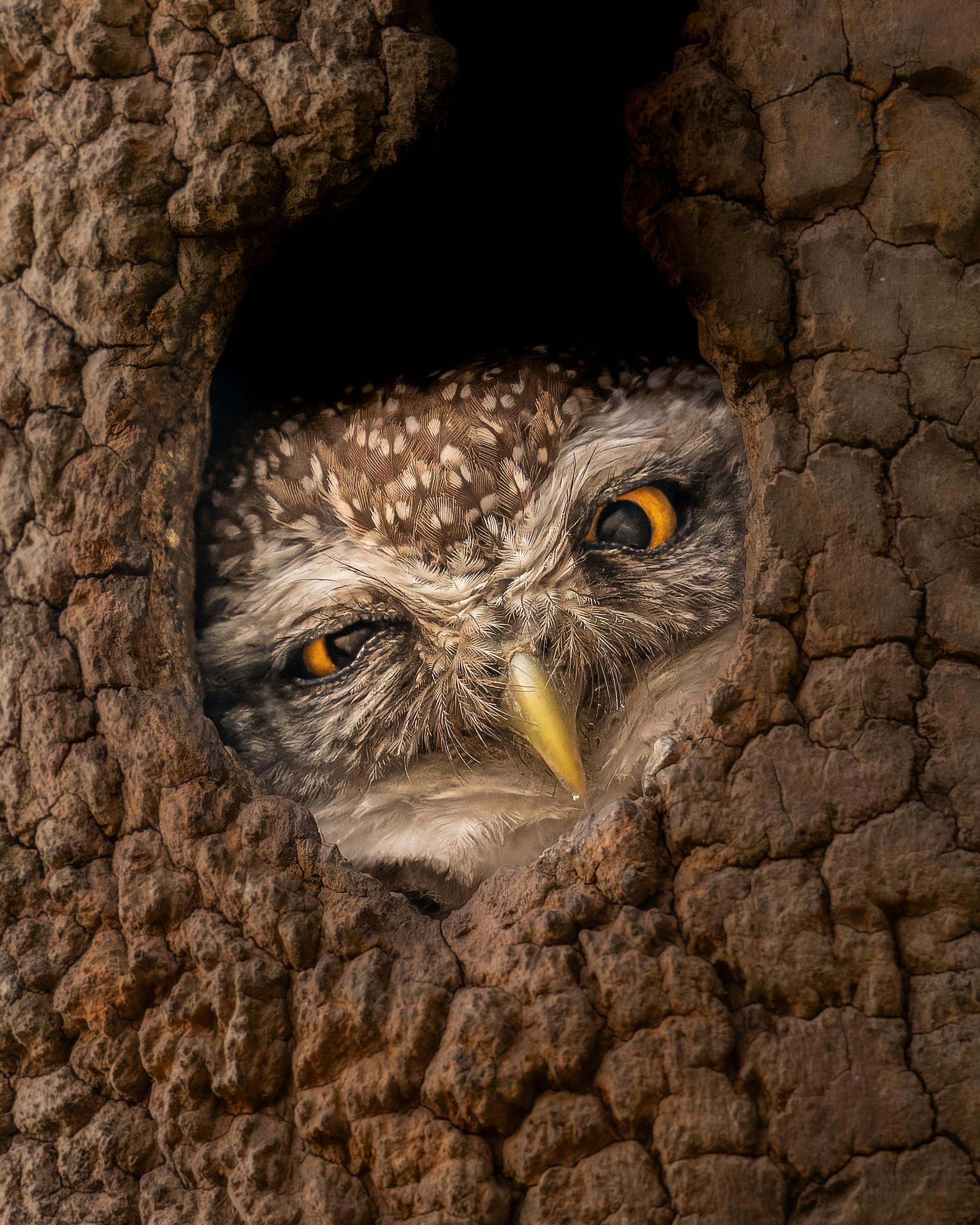 Little+Warren+Sextape+Video Photos, Download The BEST Free Little ...