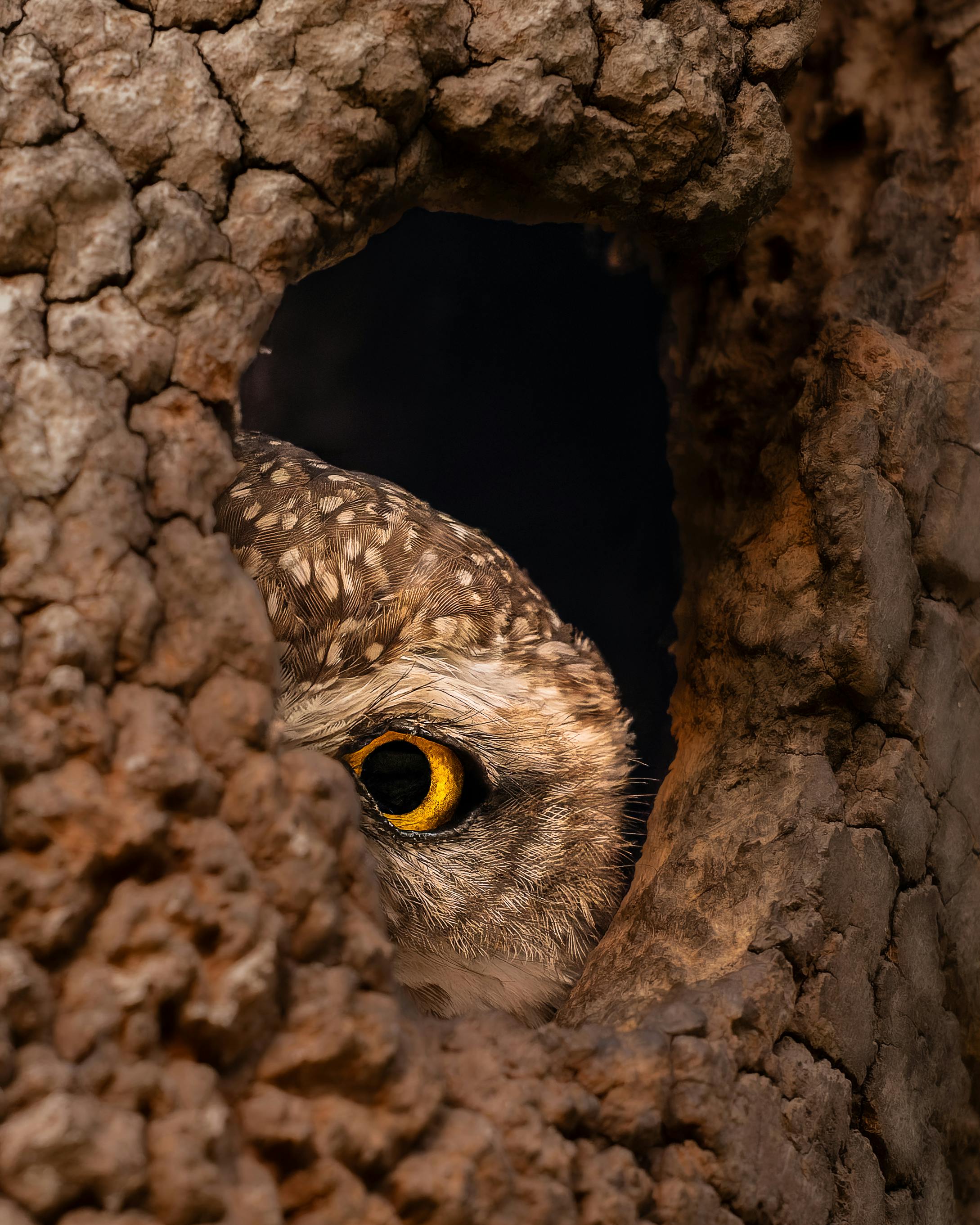 Railway Bird Eye Photos, Download The BEST Free Railway Bird Eye Stock ...