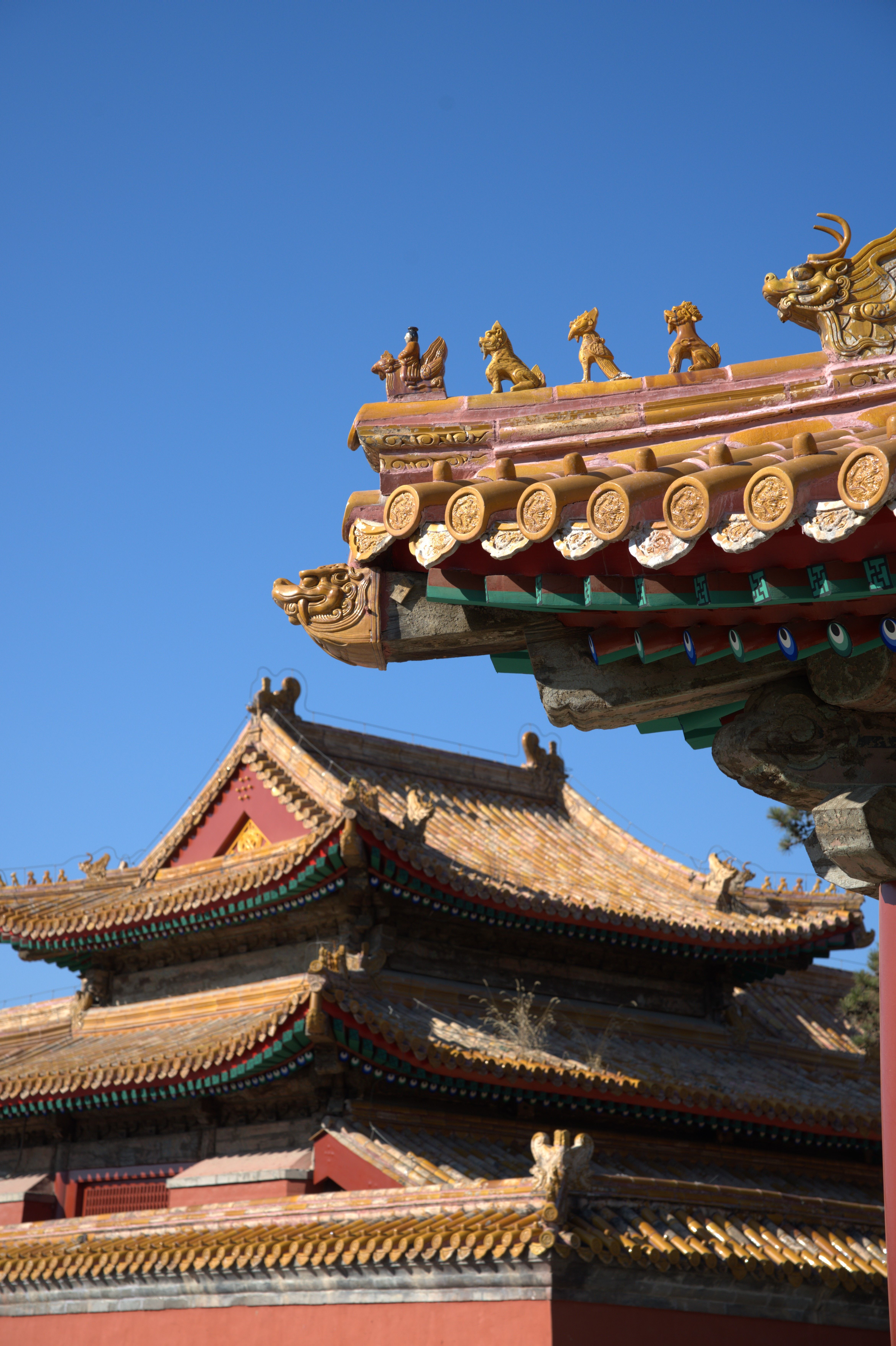 Ornate Roofs of Traditional Asian Architecture · Free Stock Photo
