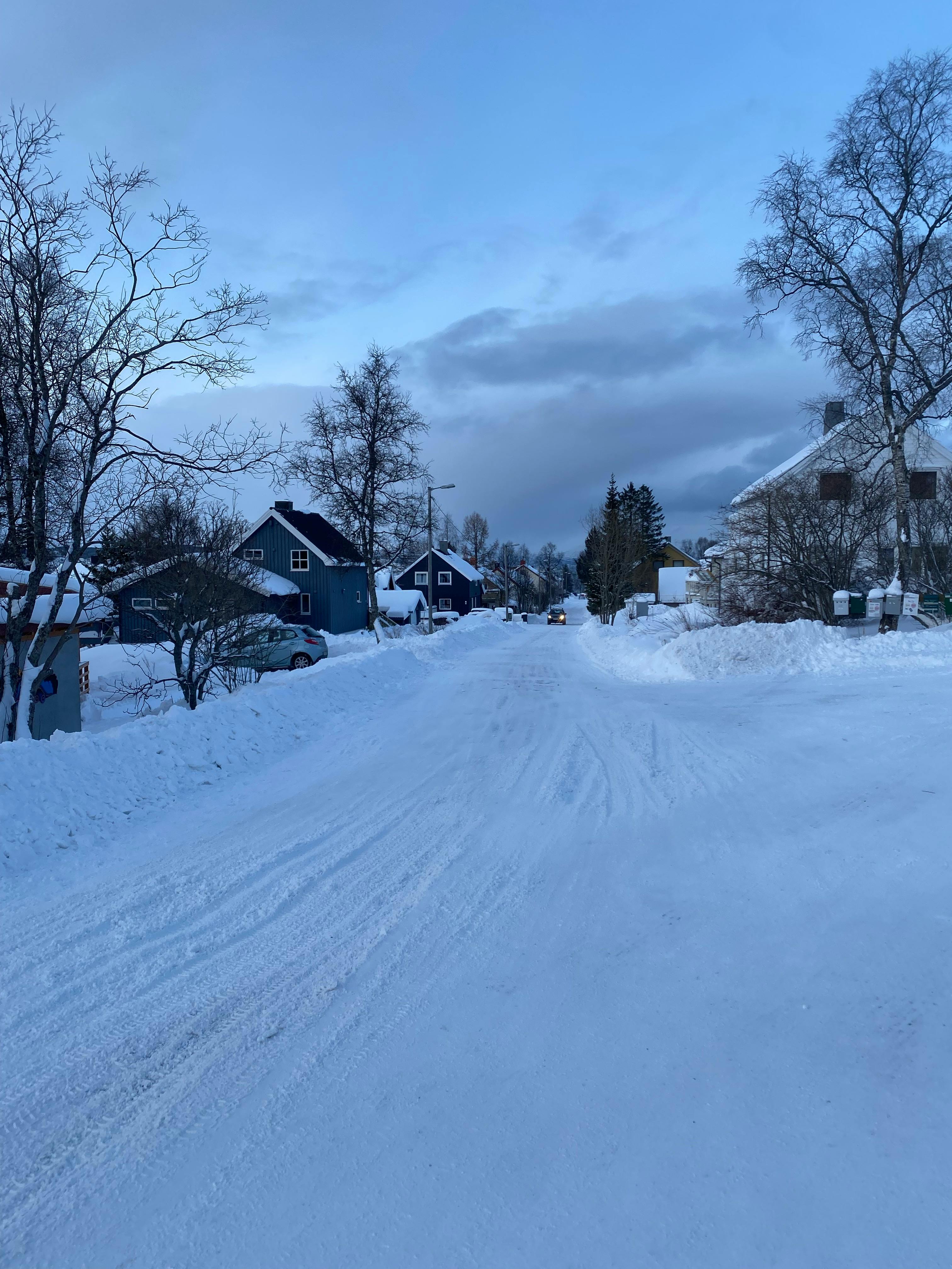 Snowy Suburban Street at Dusk in Winter · Free Stock Photo