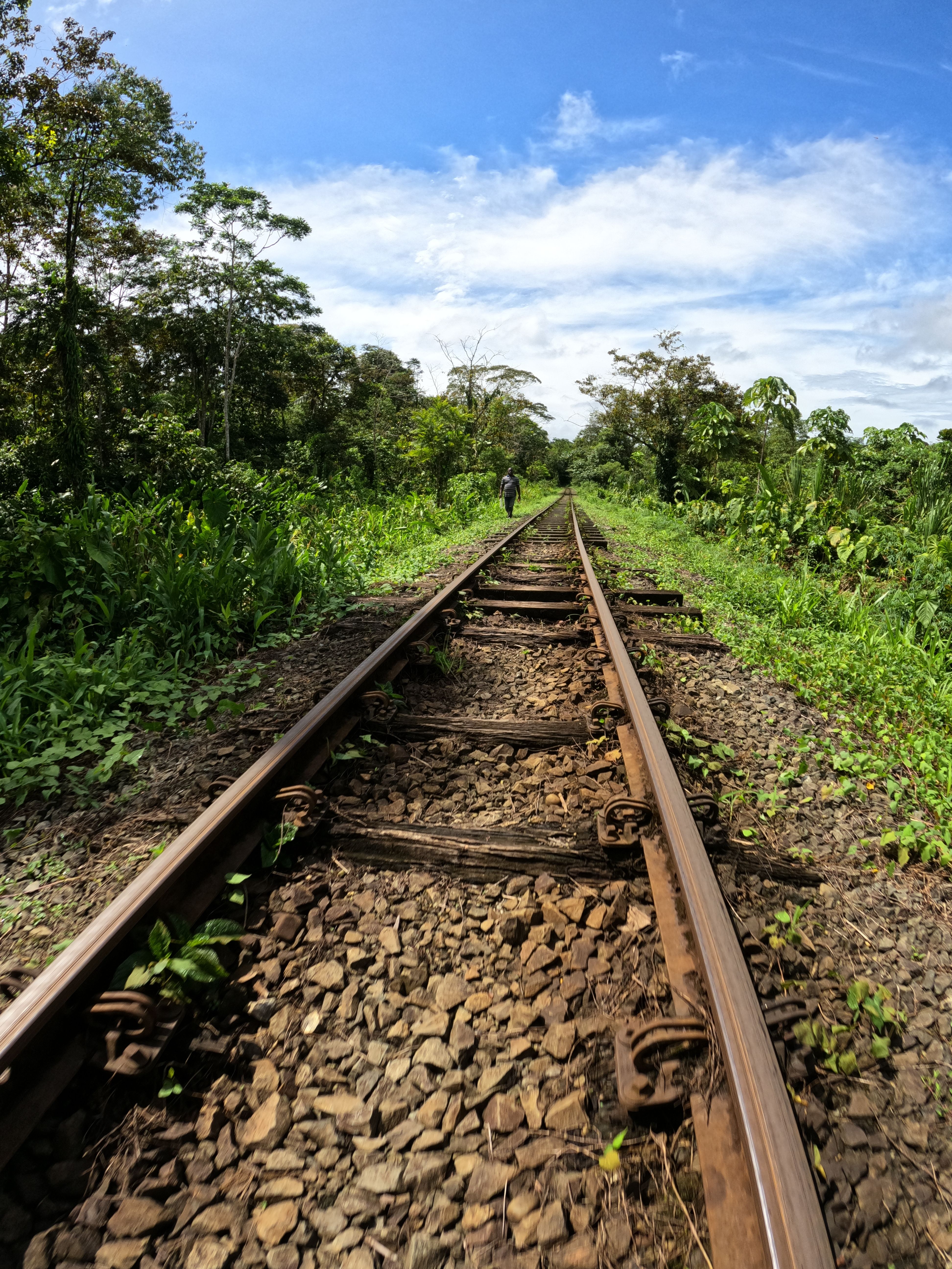 Lush Railway Track in San Cipriano, Colombia · Free Stock Photo