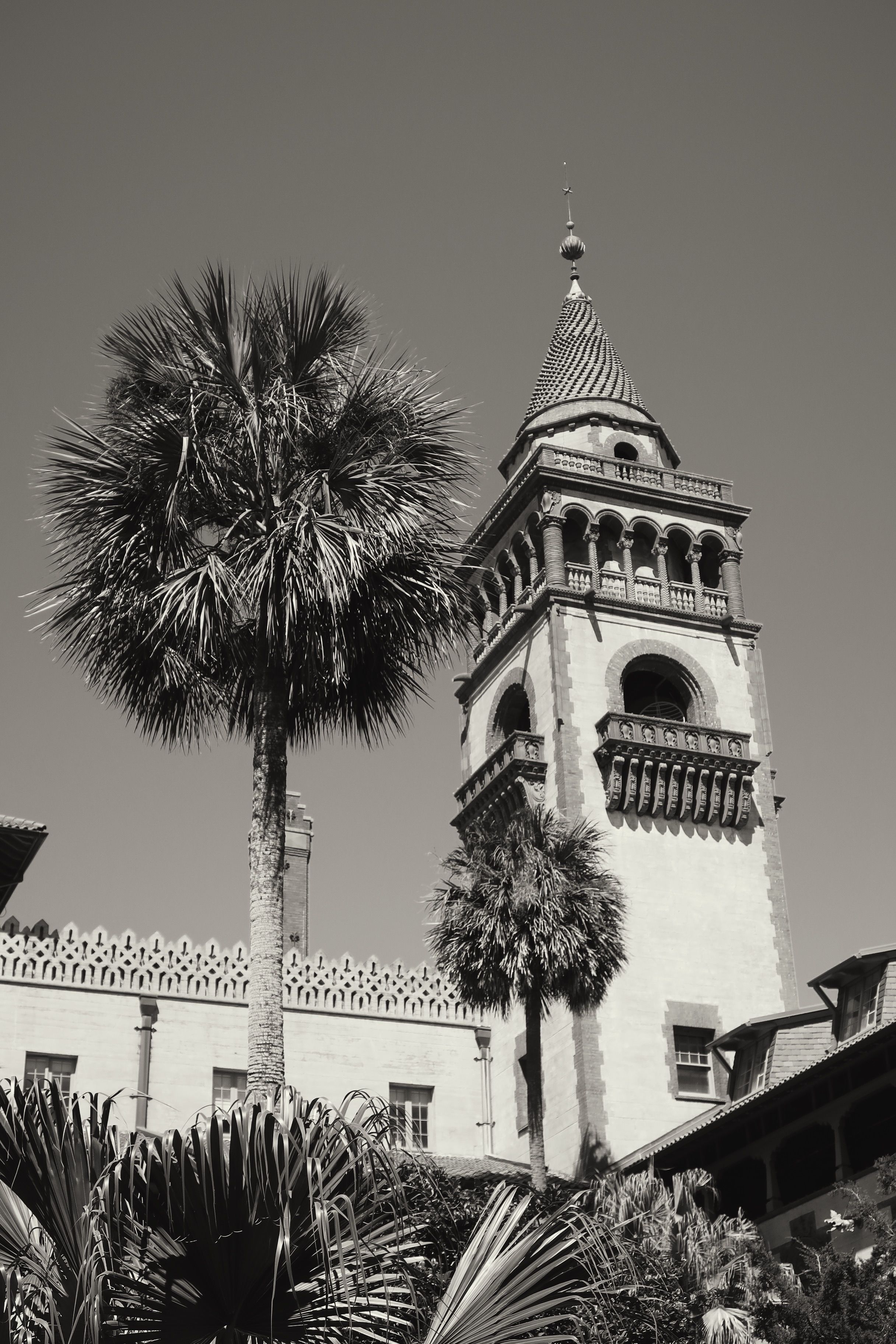 Majestic Bell Tower with Palm Trees in Black and White · Free Stock Photo