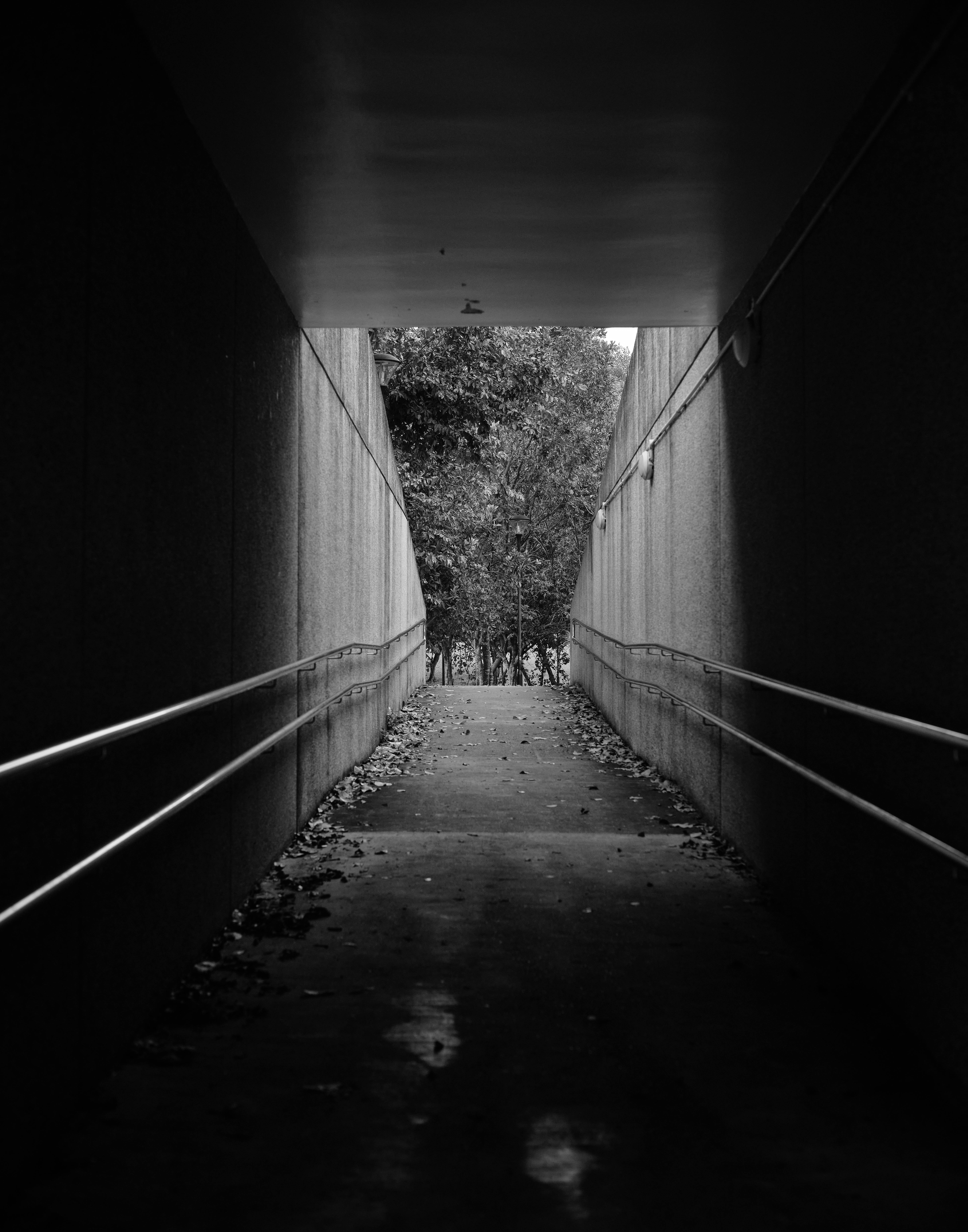 Klook Taiwan: Uncover Hidden Gems and Must-Do Experiences Today!