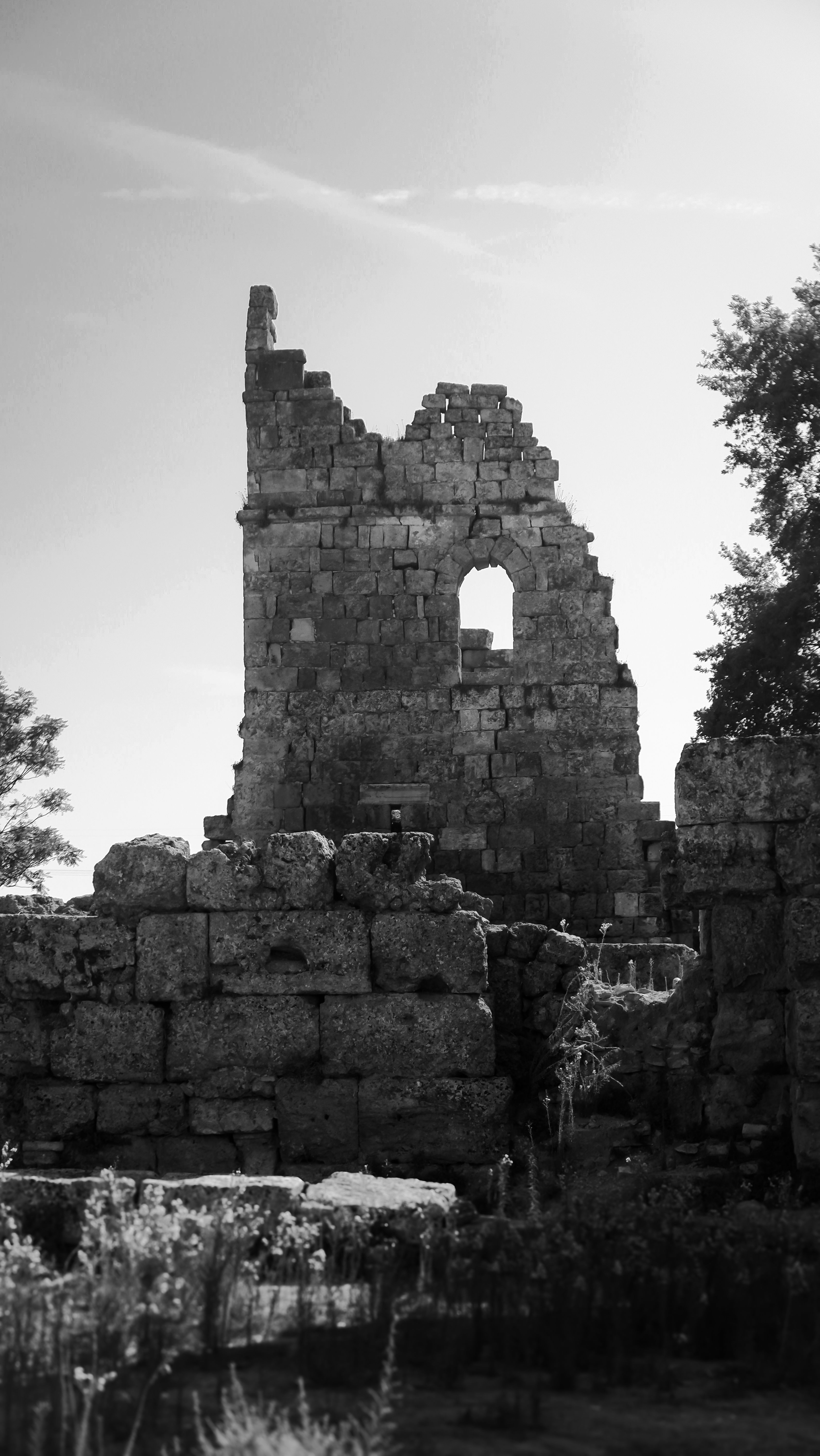 Ancient Ruins in Black and White Photography · Free Stock Photo