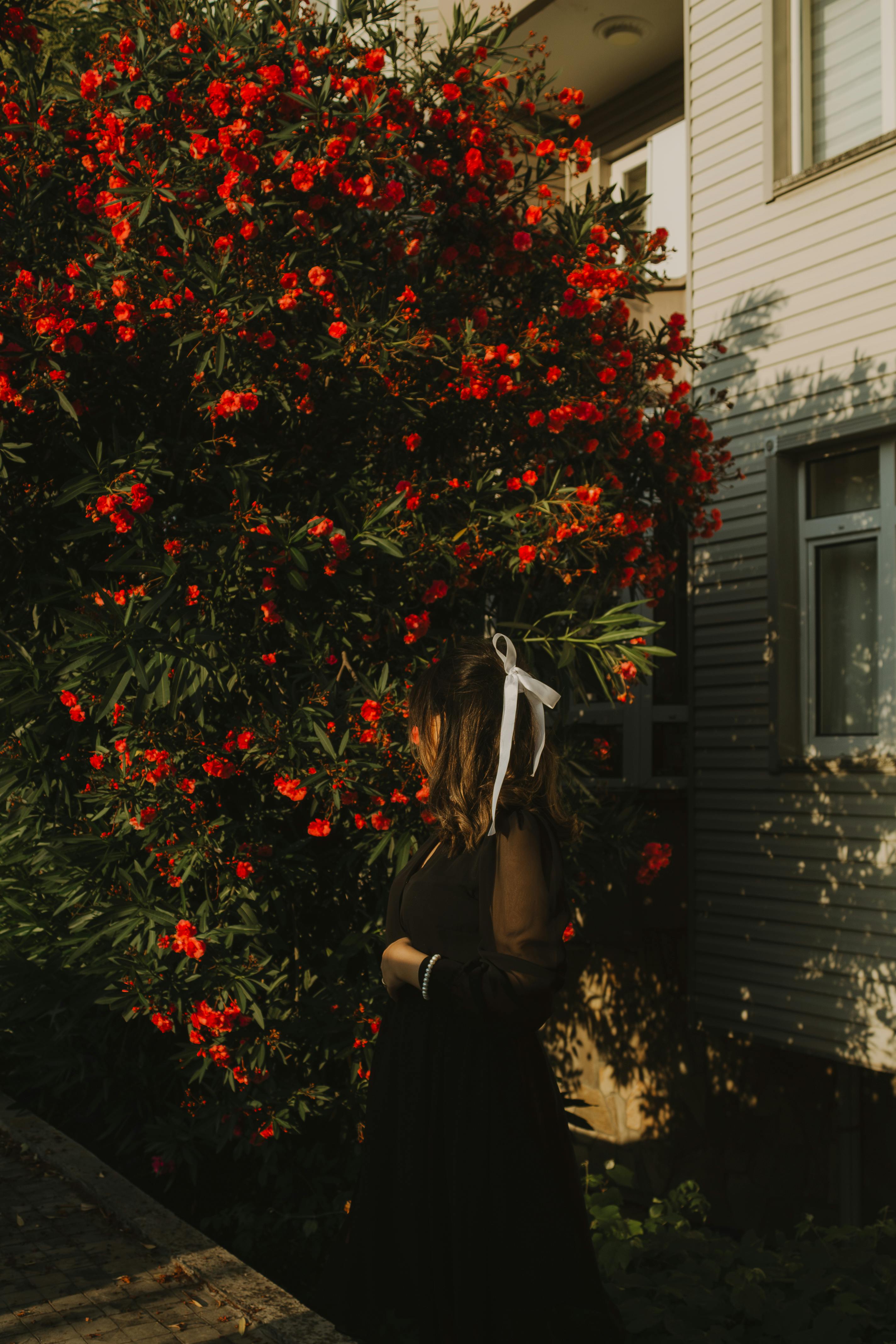 Woman Stands by Vibrant Red Oleander Bush · Free Stock Photo