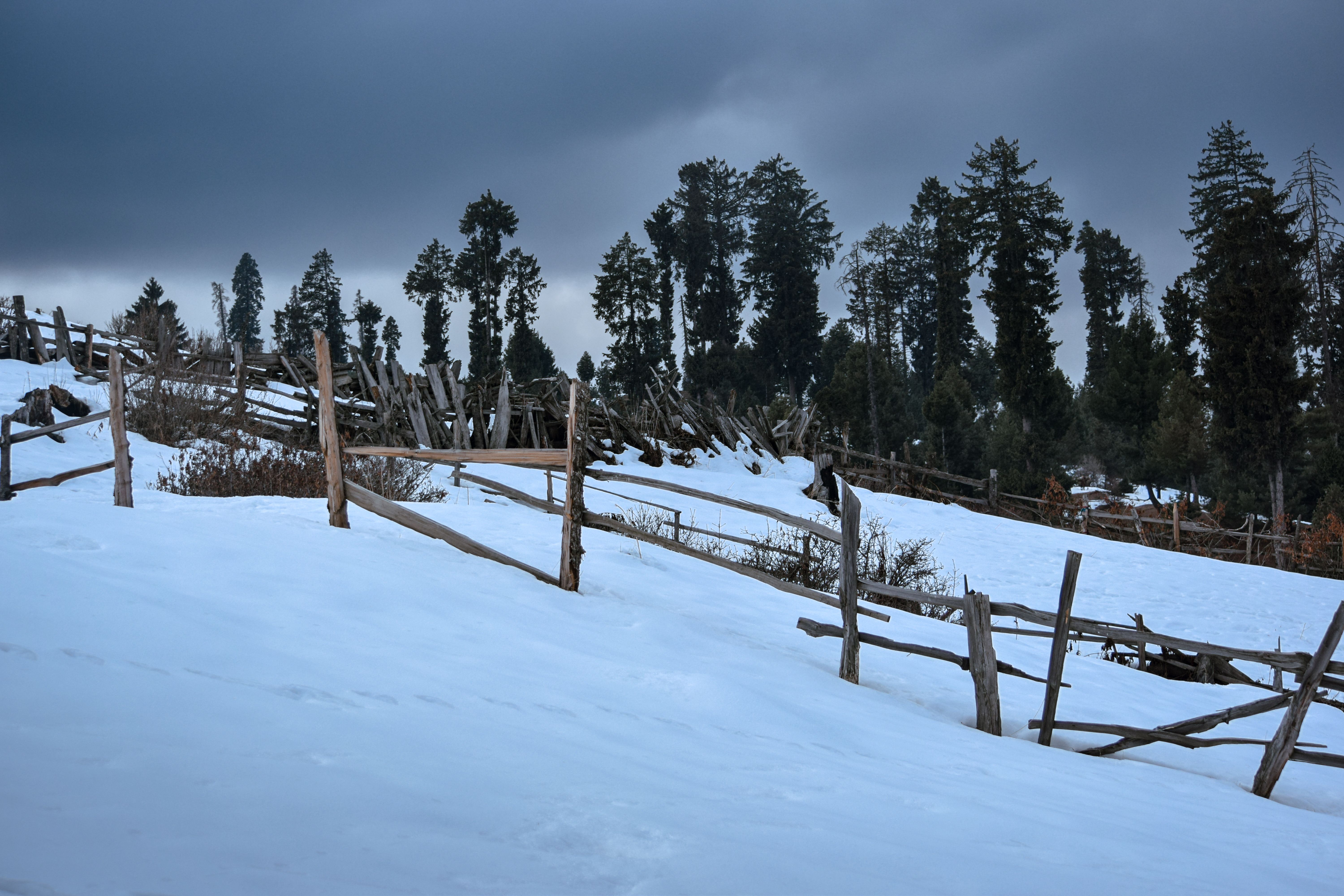 Aman Kashmir Photos, Download The BEST Free Aman Kashmir Stock Photos ...