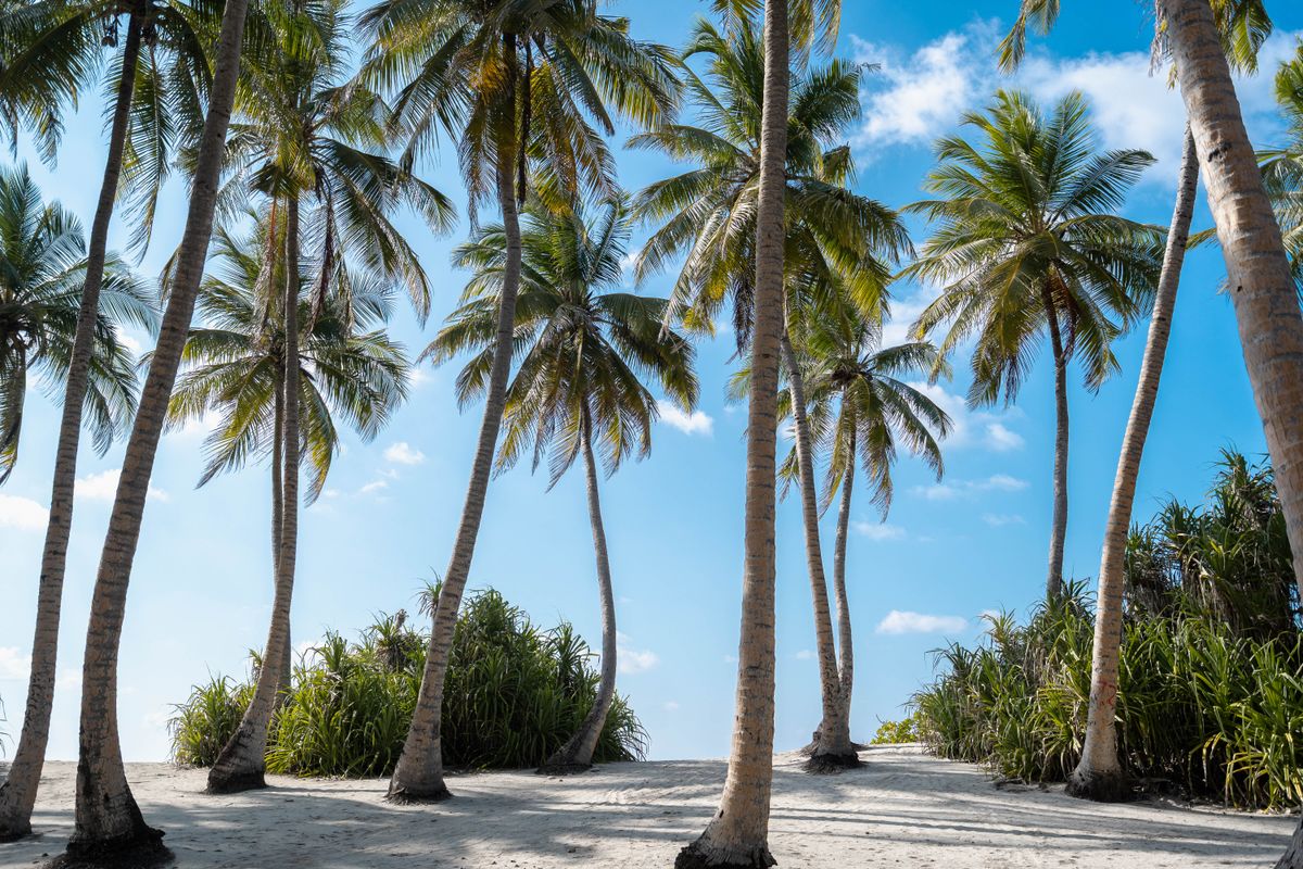Tropical Island Photos, Download The BEST Free Tropical Island Stock ...