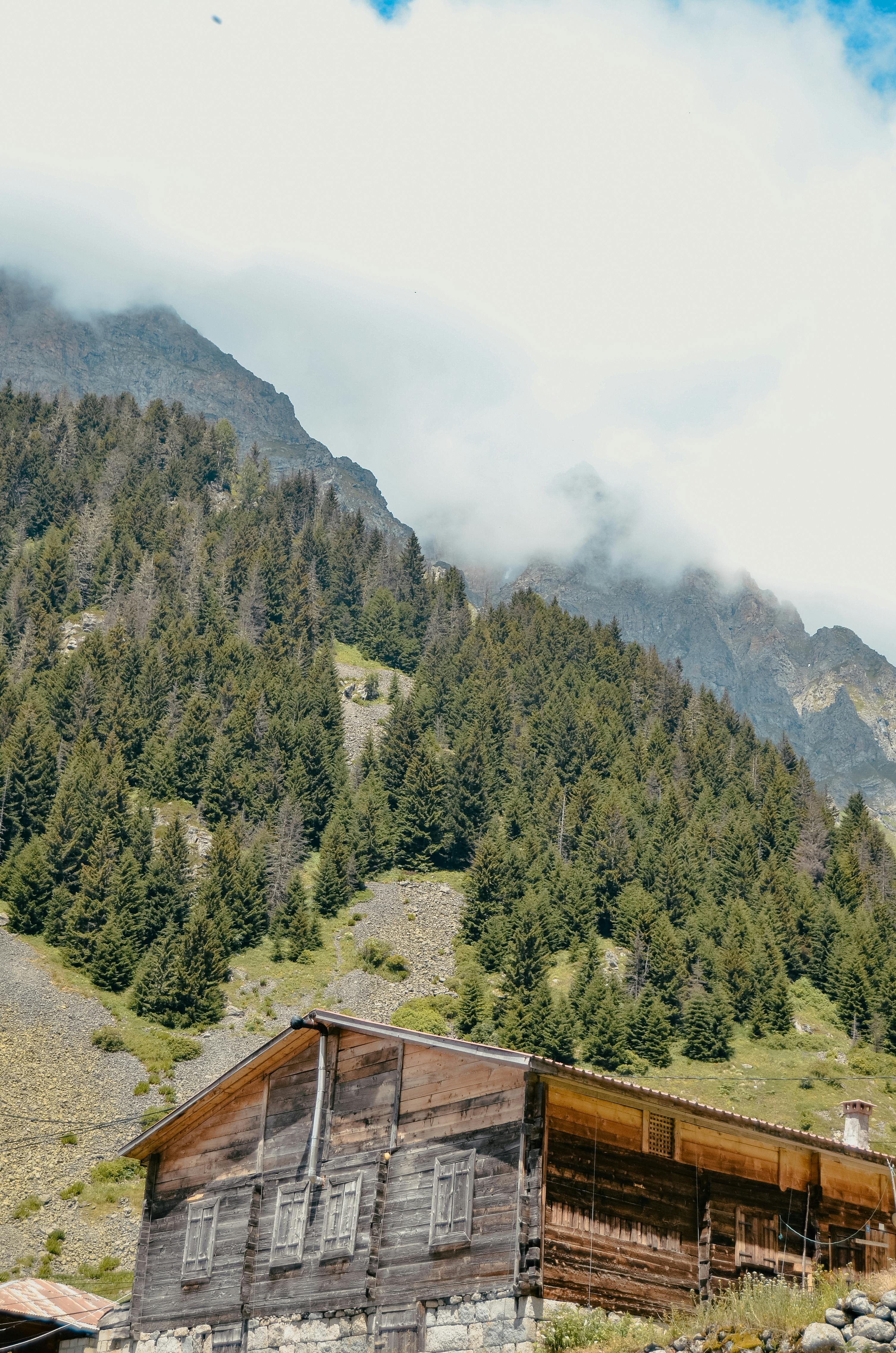 Rustic Mountain Cabin in Alpine Forest Setting · Free Stock Photo