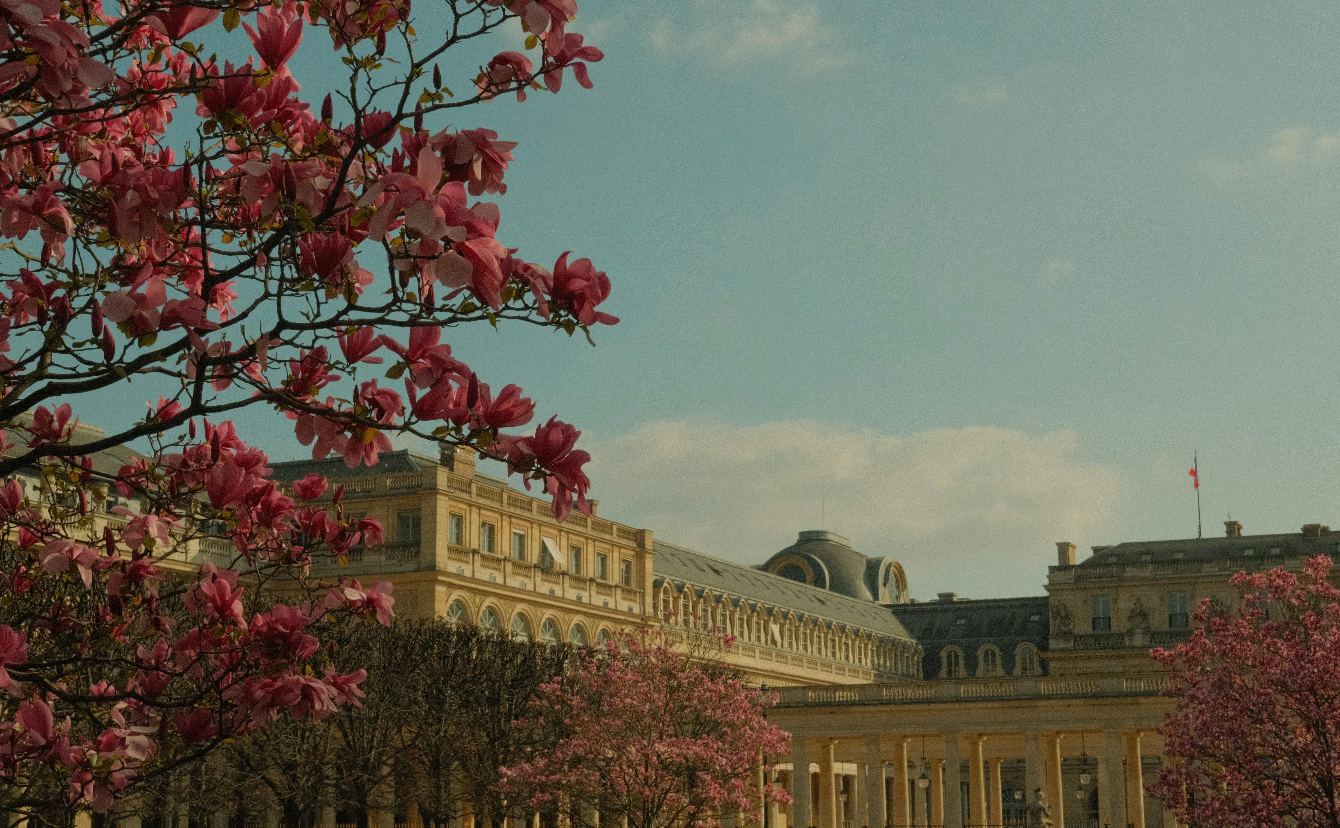 TEF Canada Results: Top Guide to Success in 2025