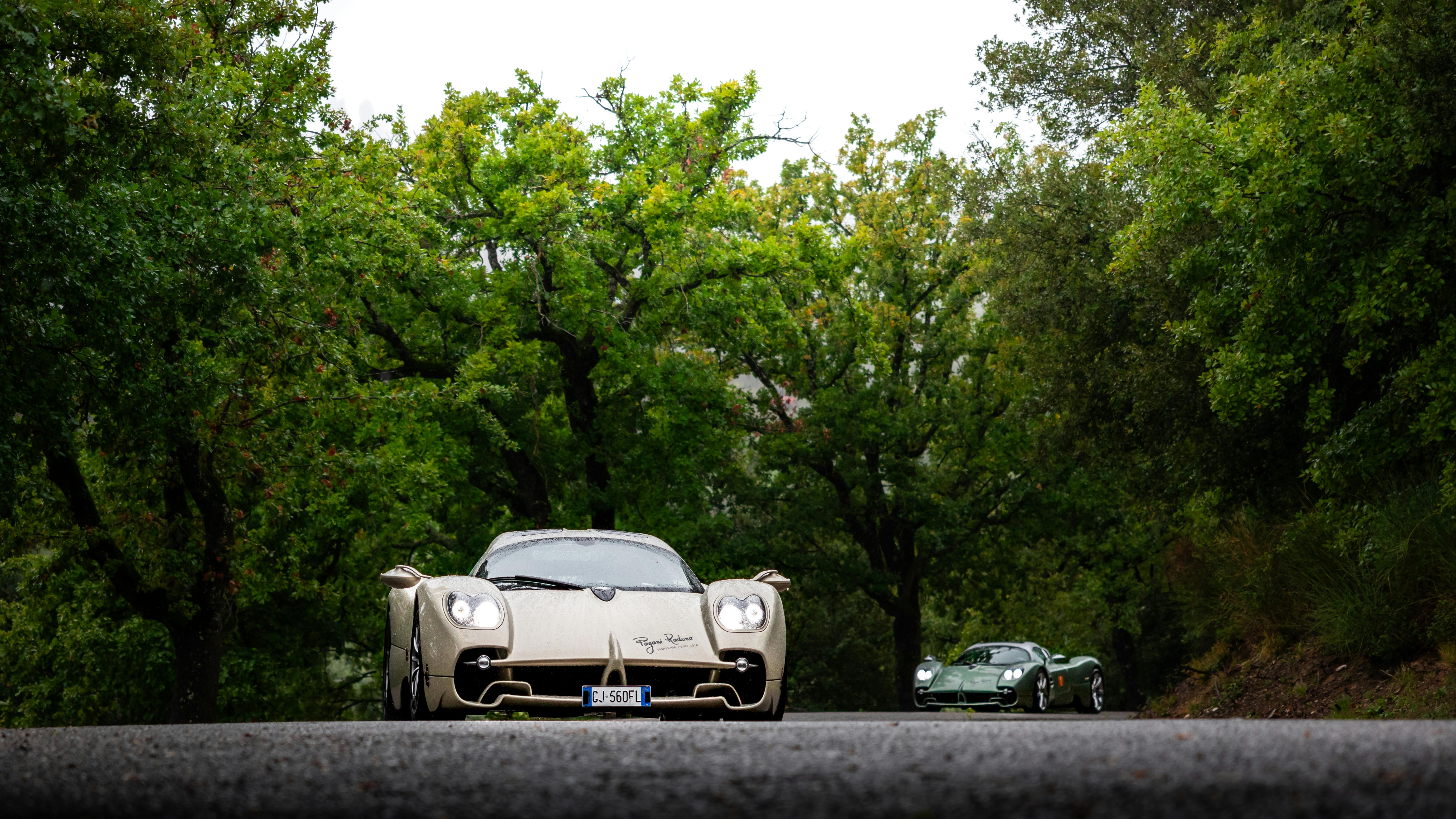 Luxury Sports Cars on Forest Road in Daylight · Free Stock Photo