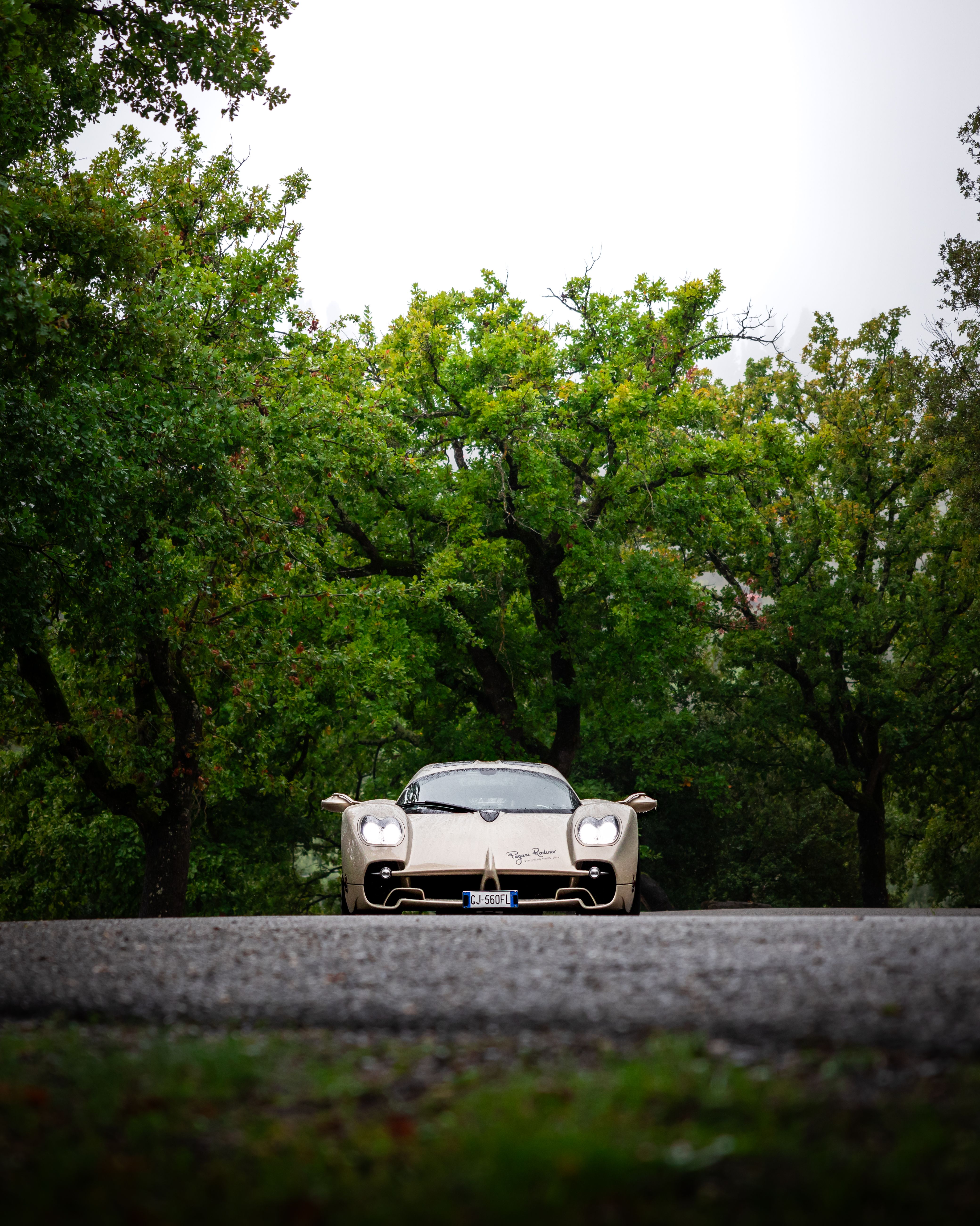 Luxury Car in Scenic Forest Setting · Free Stock Photo