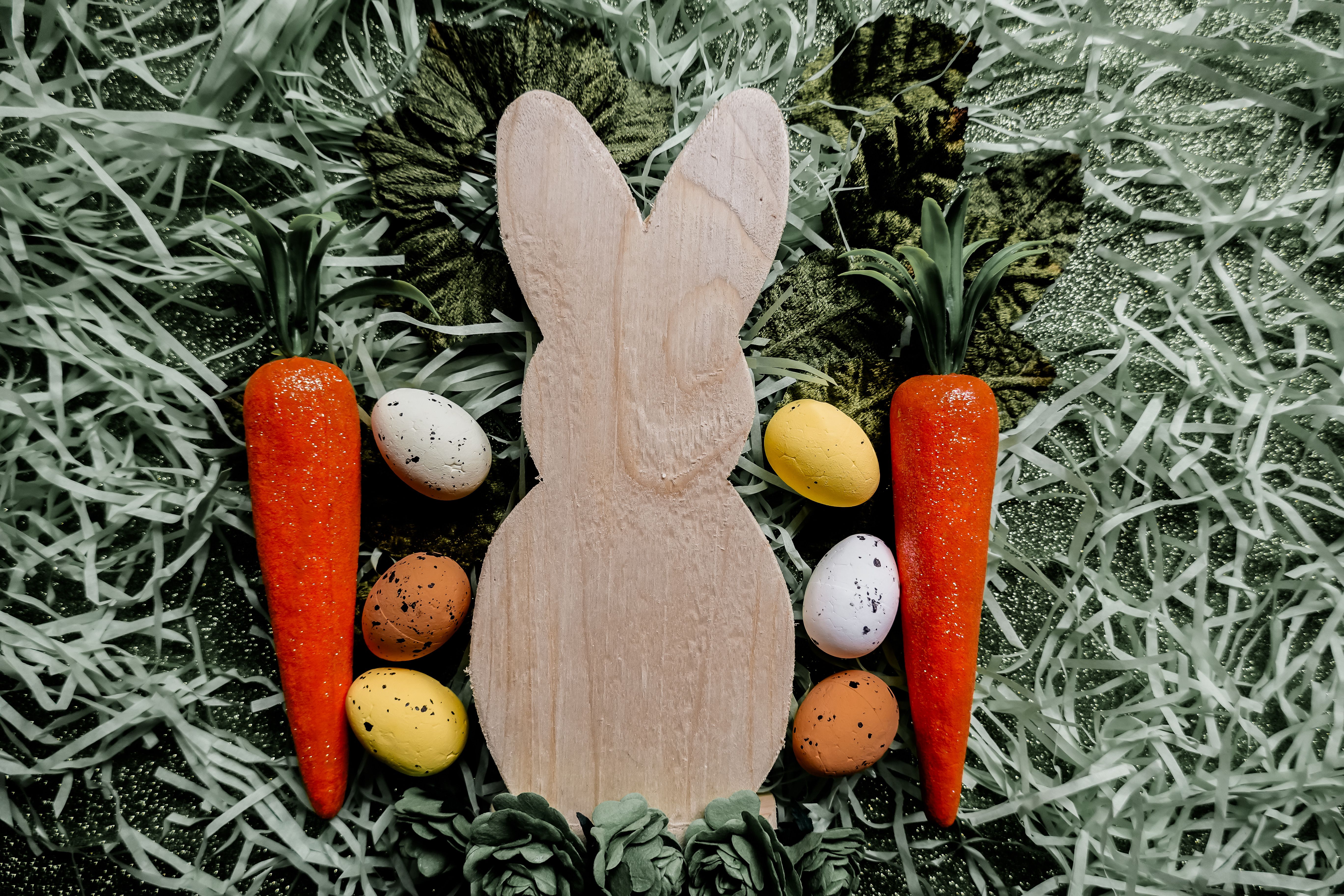 Rabbit Fam Photos, Download The BEST Free Rabbit Fam Stock Photos & HD Images