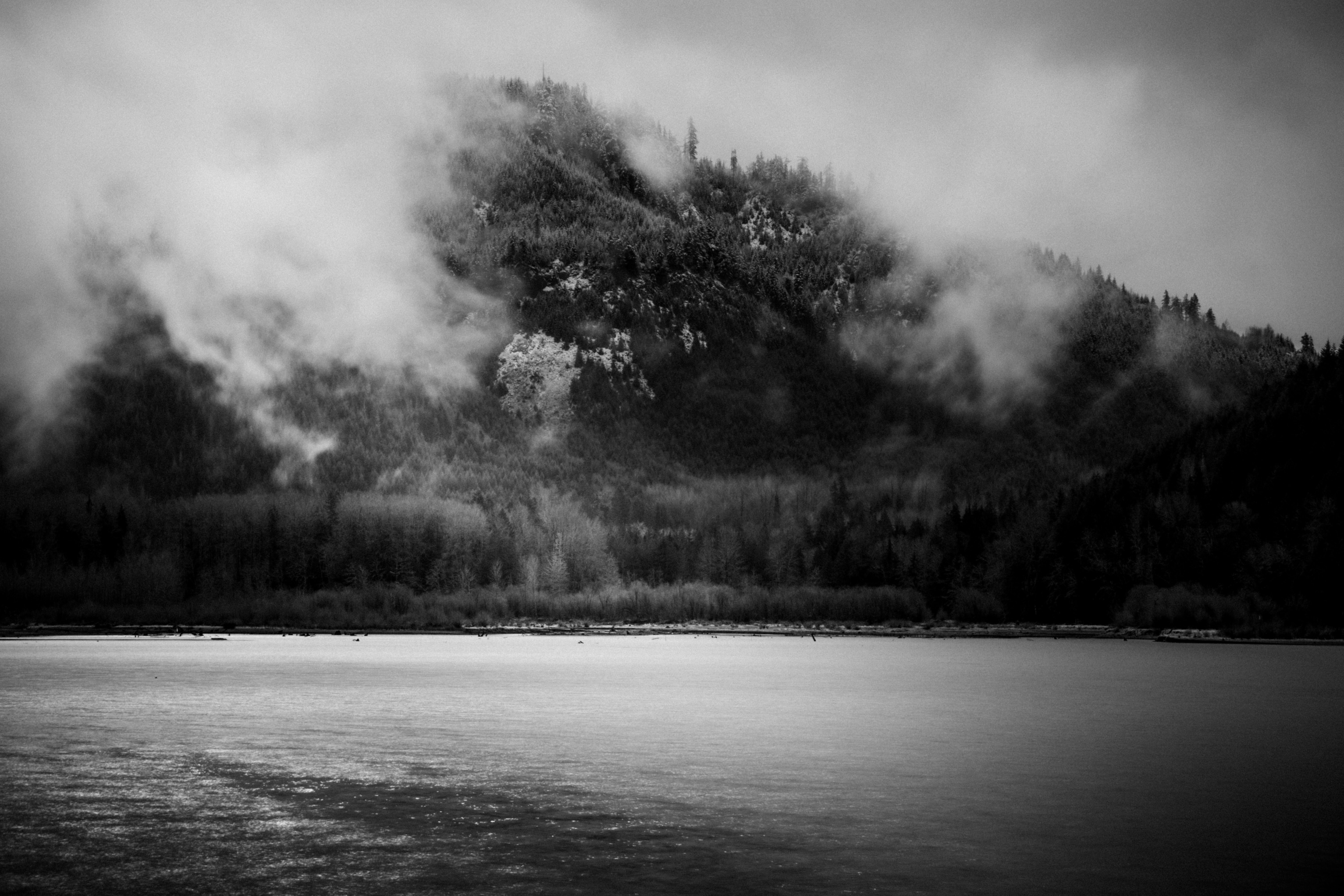 Quick And Dull Photos, Download The BEST Free Quick And Dull Stock ...