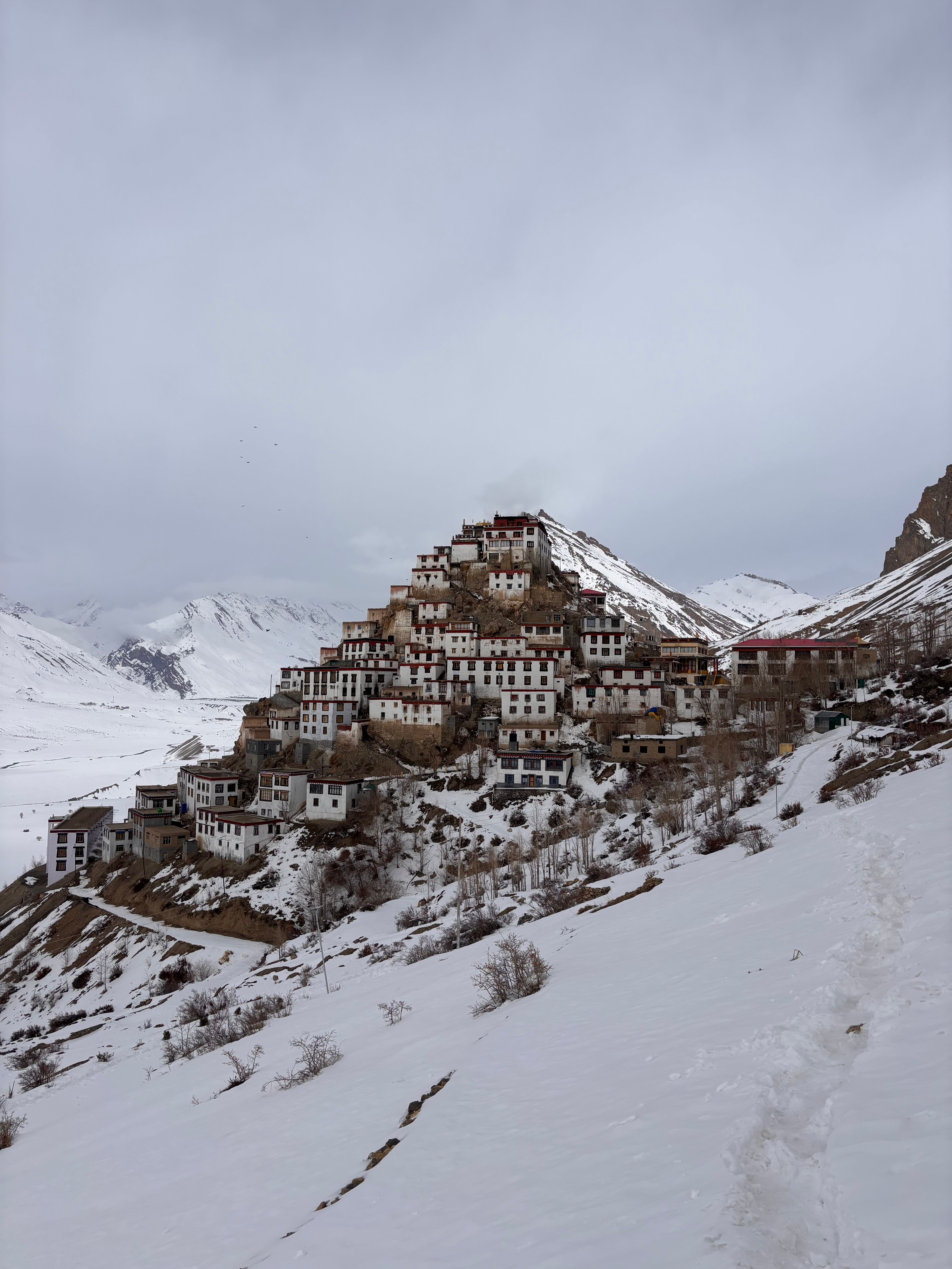 Picturesque Ki Monastery in Snowy Landscape · Free Stock Photo
