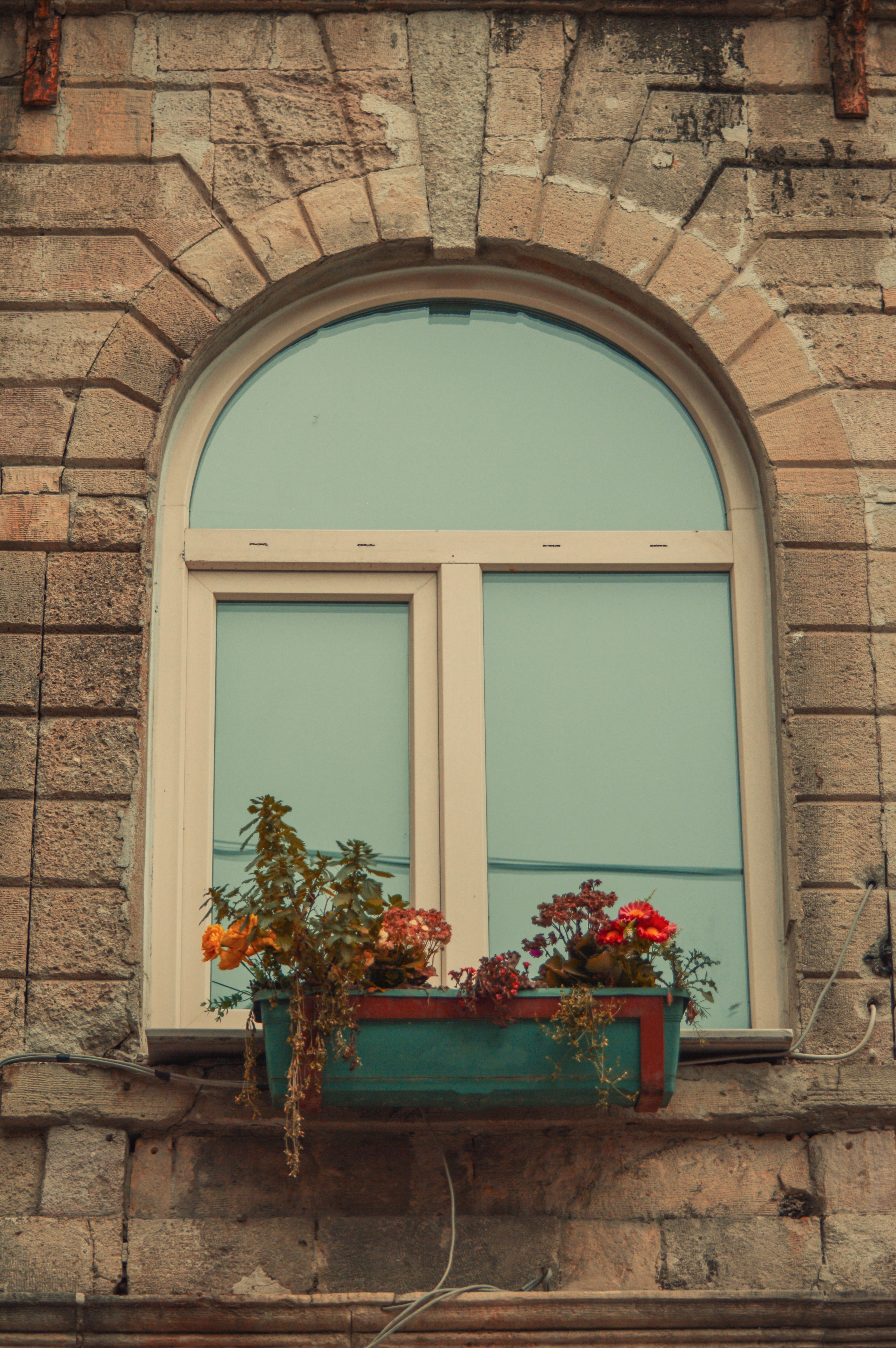 Charming Arched Window with Colorful Planter · Free Stock Photo