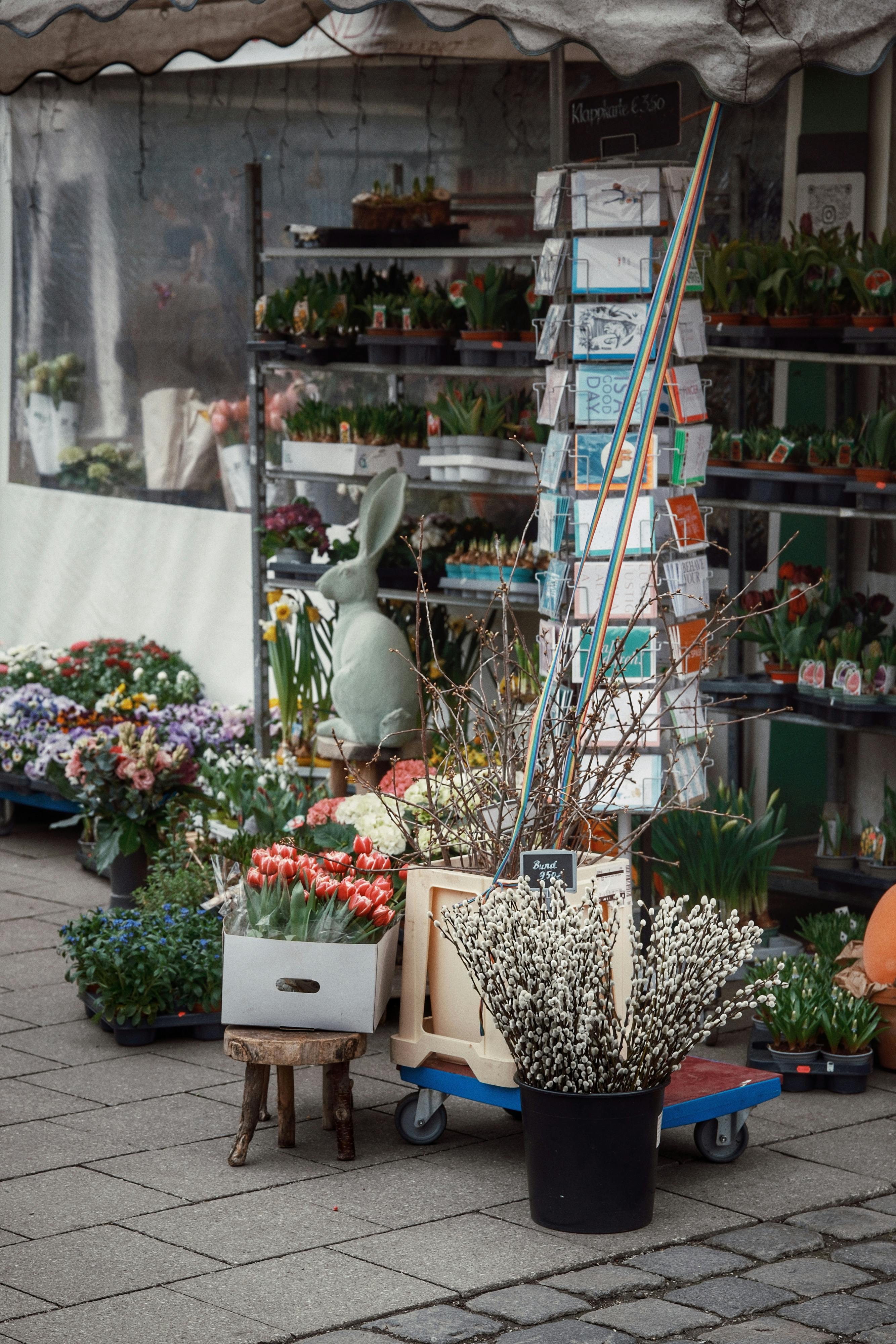 Charming Outdoor Plant and Flower Market Display · Free Stock Photo