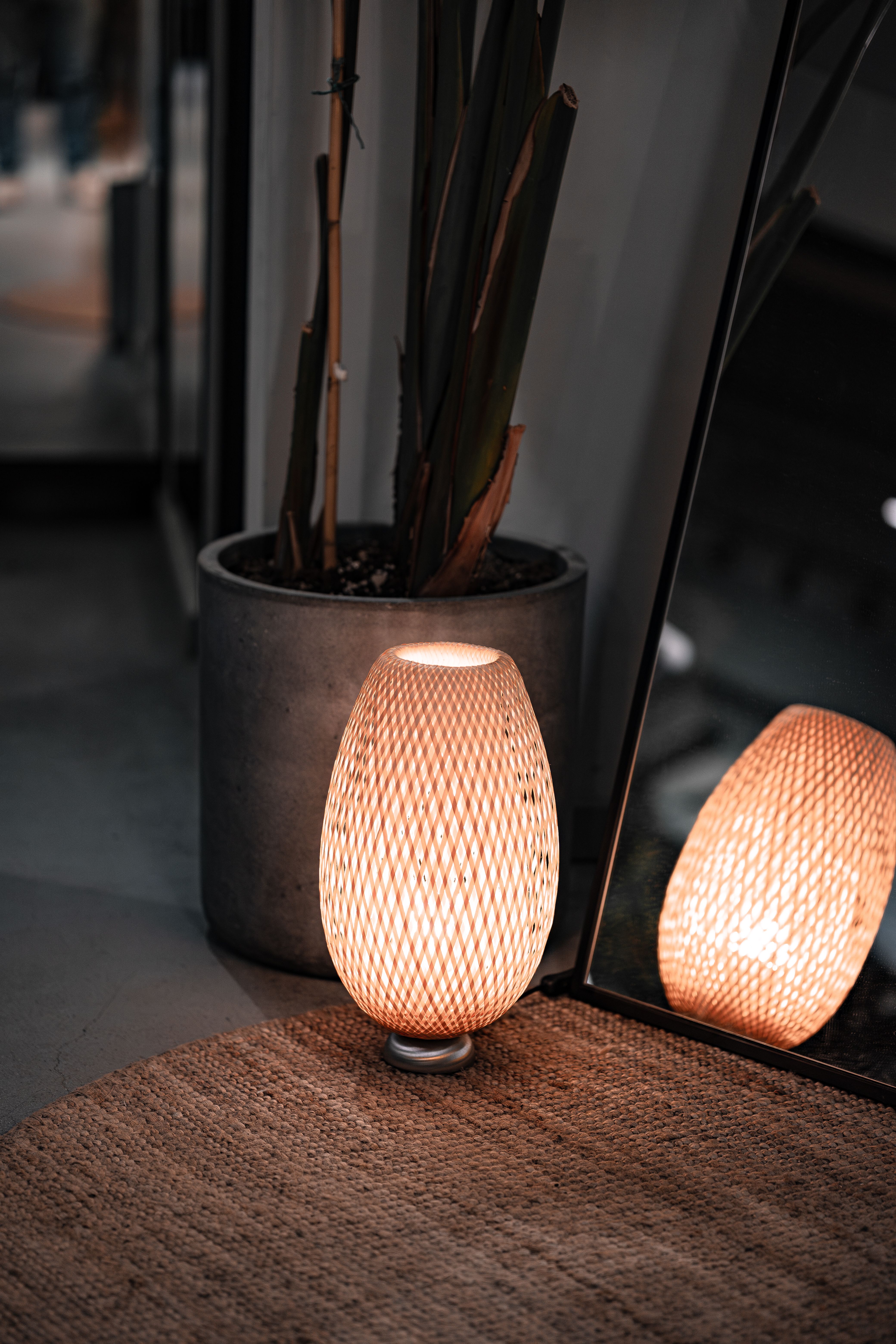 Cozy Indoor Lamp with Plant Reflection · Free Stock Photo