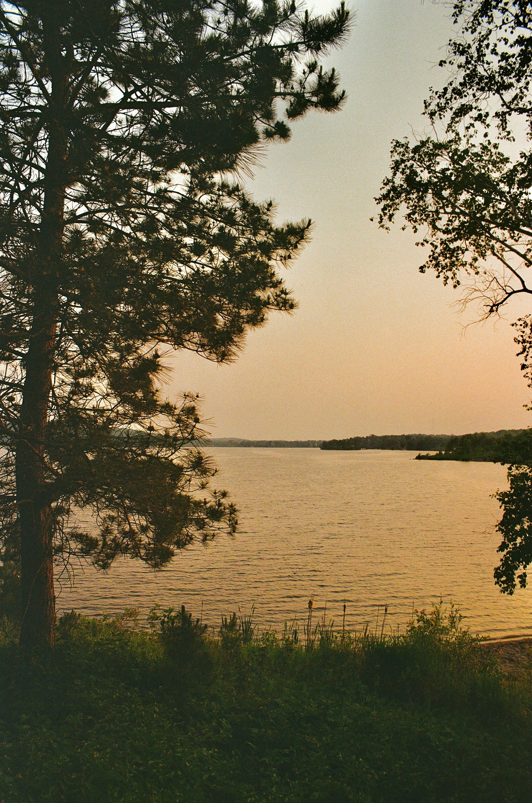 Serene Lakeside View at Sunset with Trees · Free Stock Photo