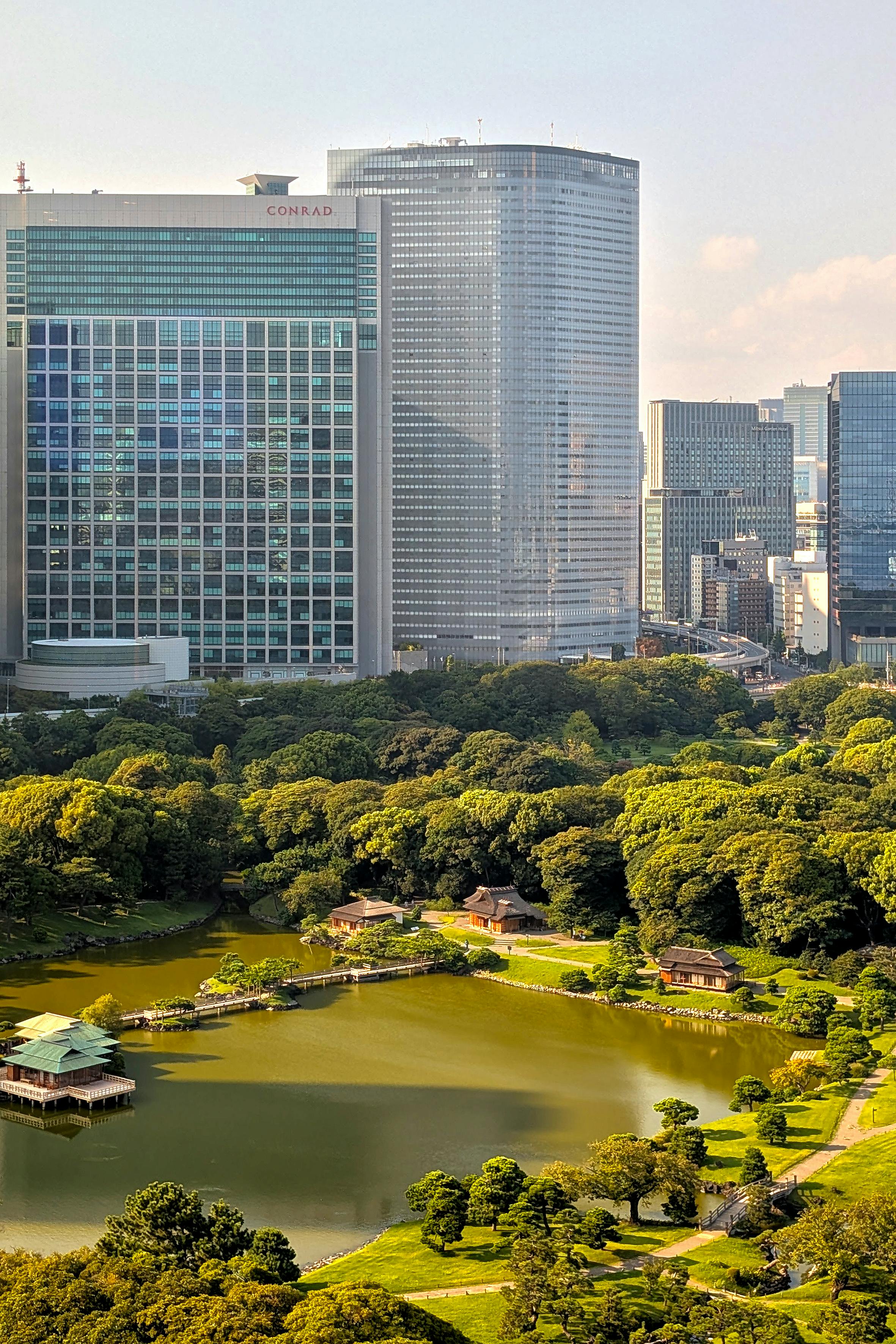 Stunning Urban Park View in Tokyo · Free Stock Photo