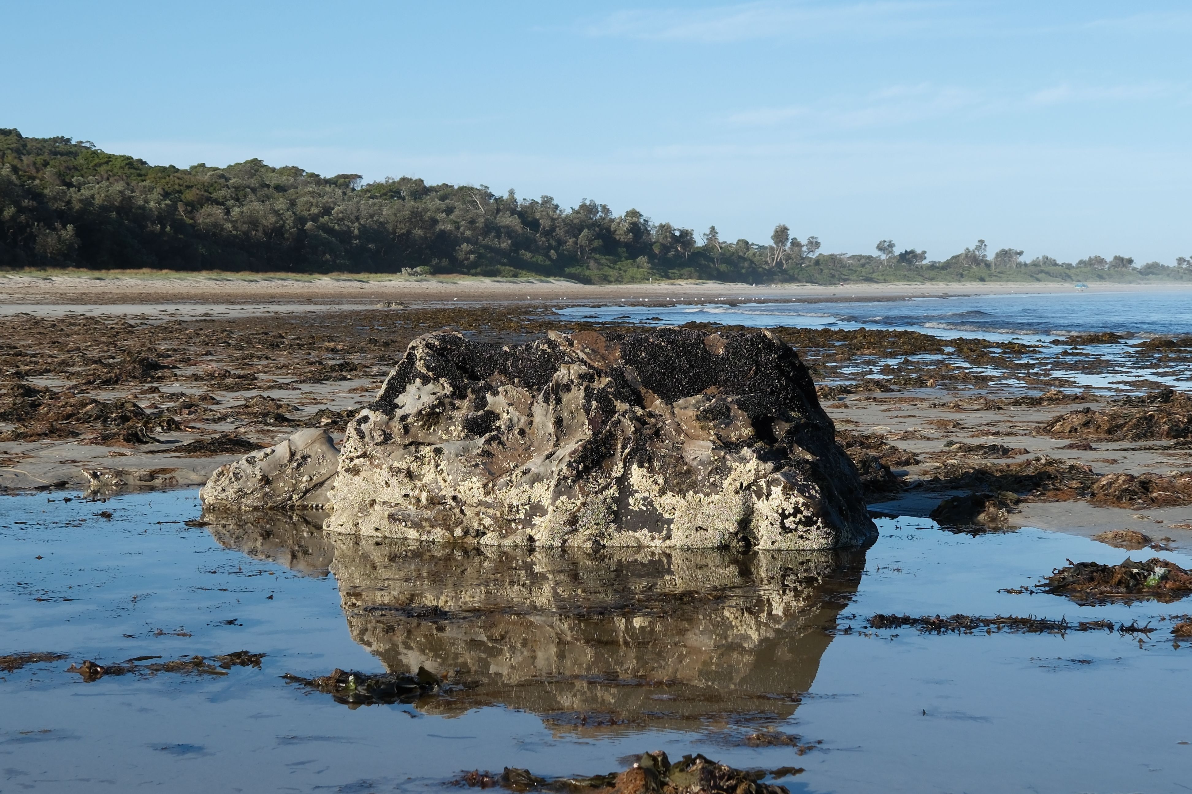 Rocky Shoreline with Reflections at Low Tide · Free Stock Photo