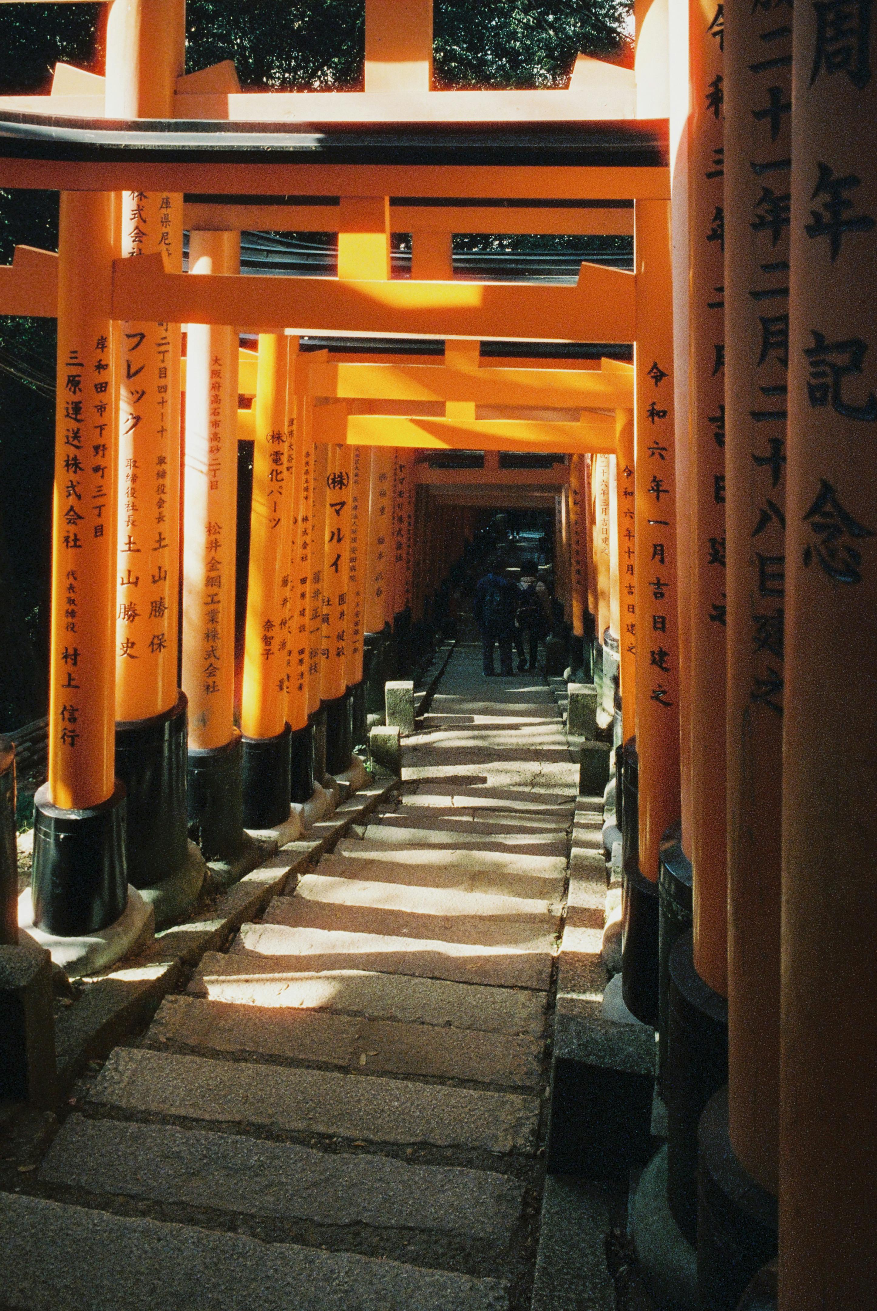Japanese Torii Gates at Fushimi Inari Shrine · Free Stock Photo