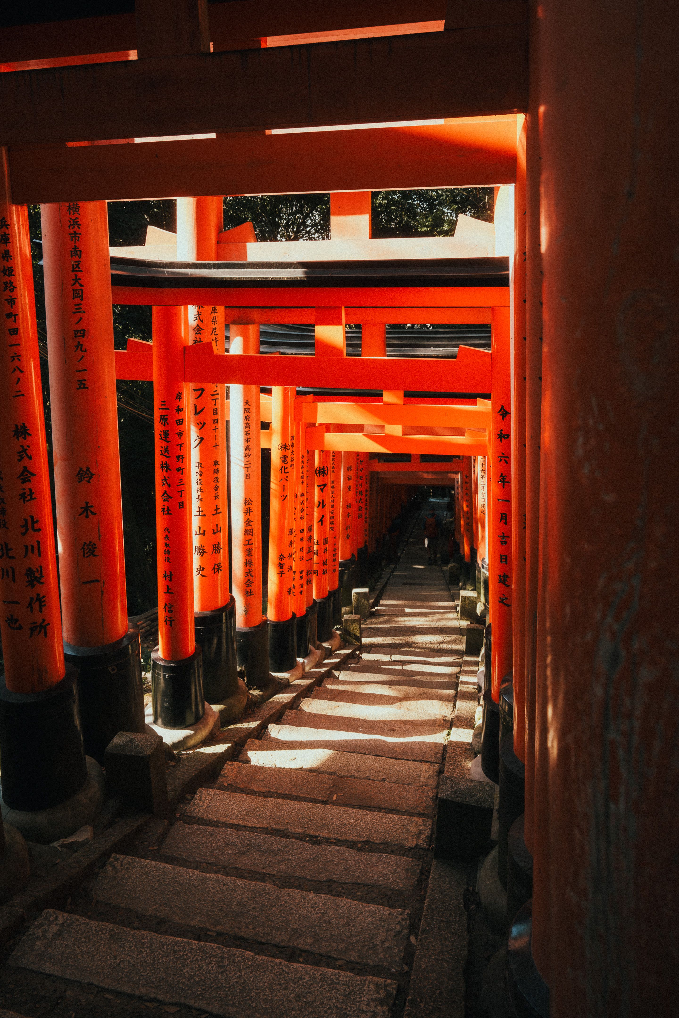 Svatyně Fushimi Inari Brány Torii Ve Slunečním Světle · Základová ...