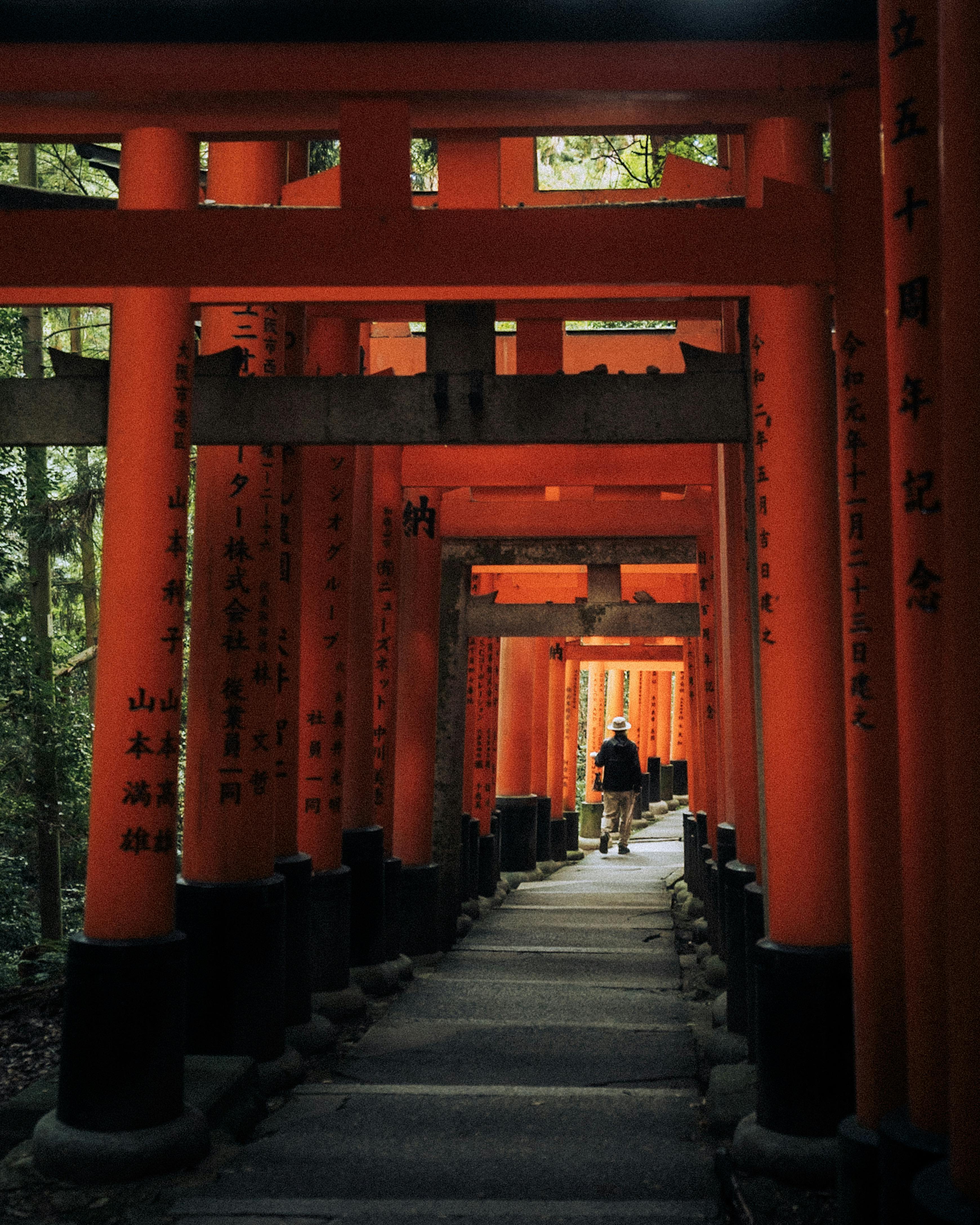 Walking through Fushimi Inari Shrine Torii Gates · Free Stock Photo